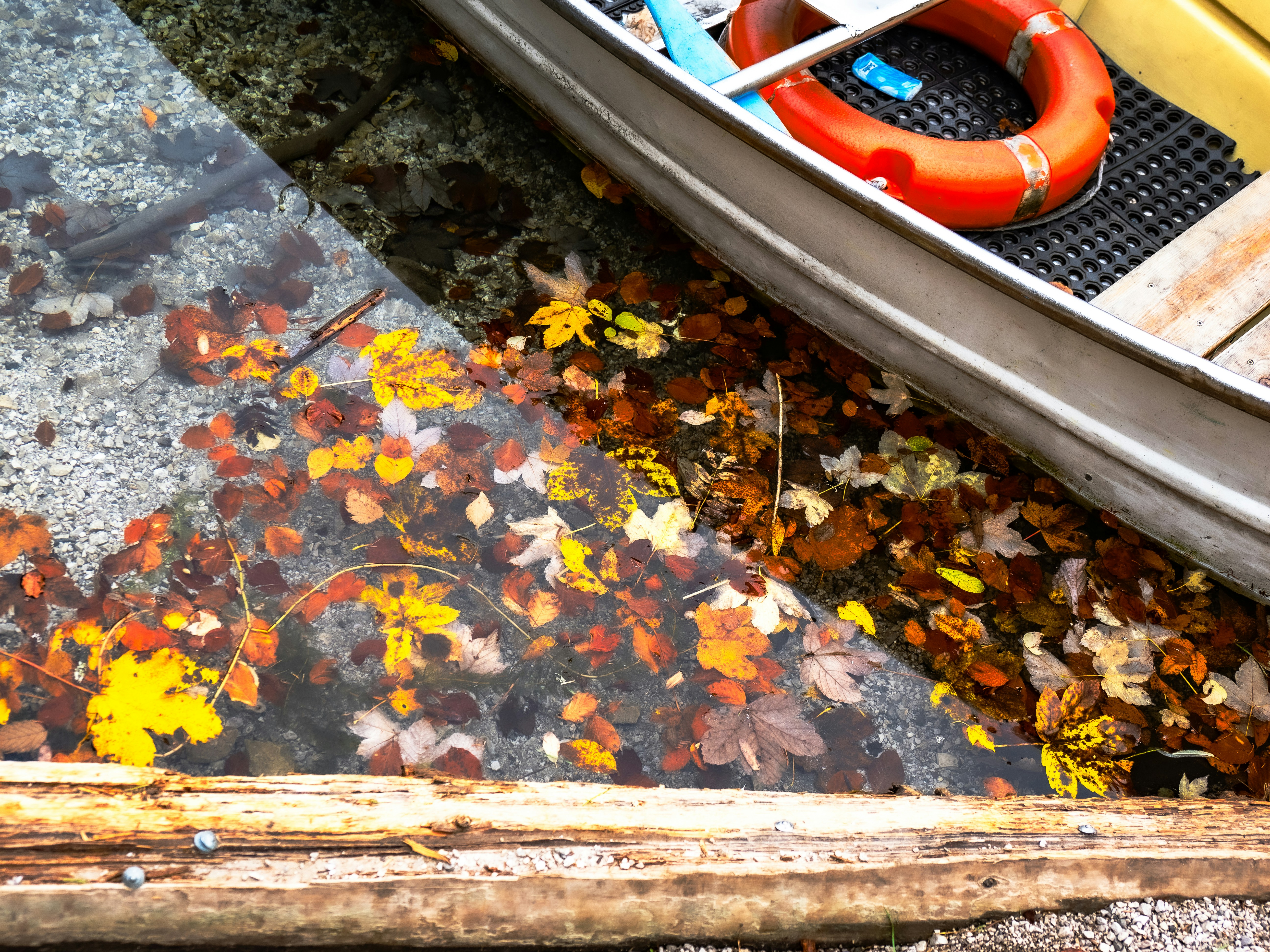 Crimson and Gold on Still Water: Lifebuoy at the Boat's Quiet Edge