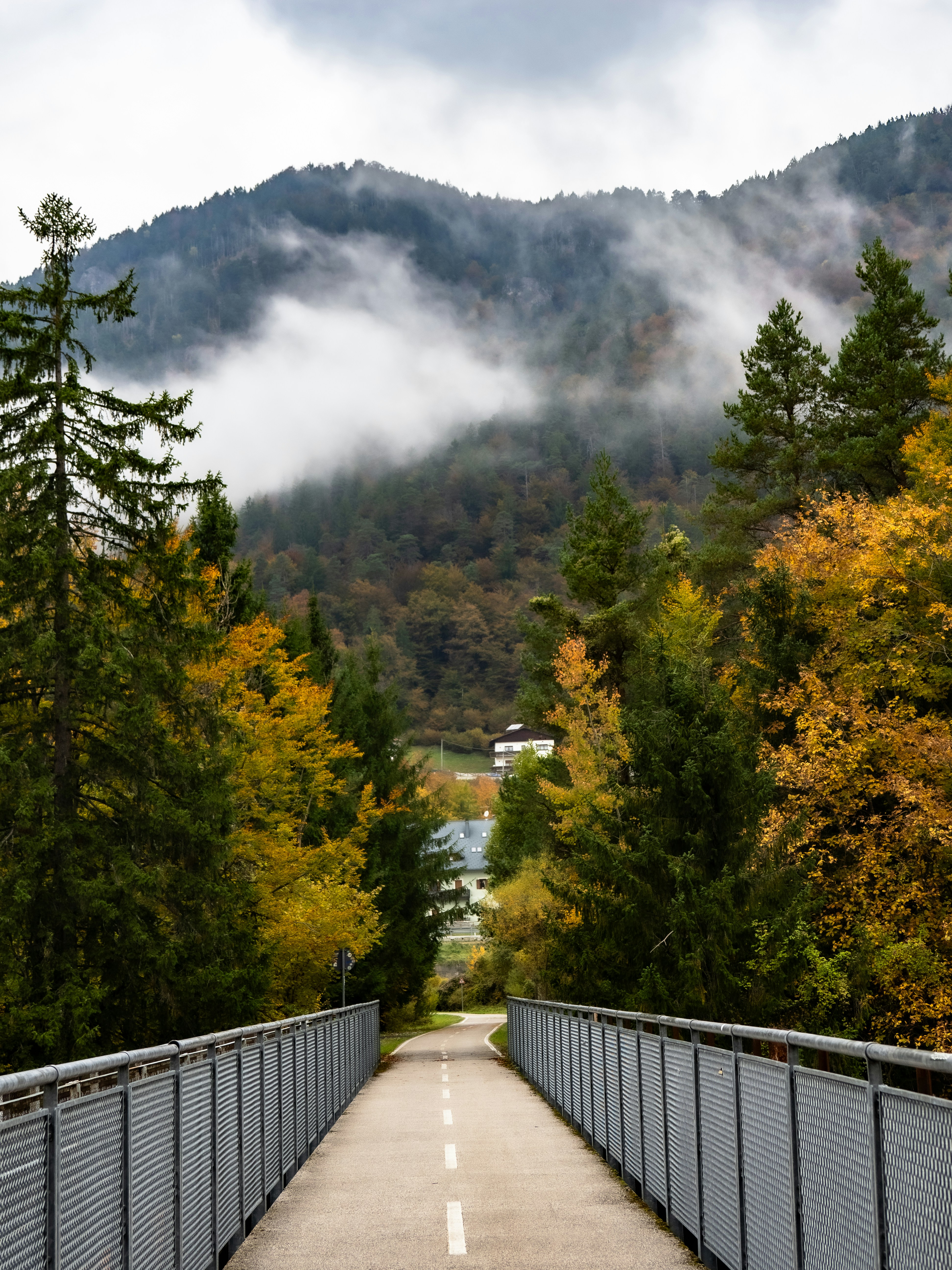 Pathway Through Autumn's Embrace