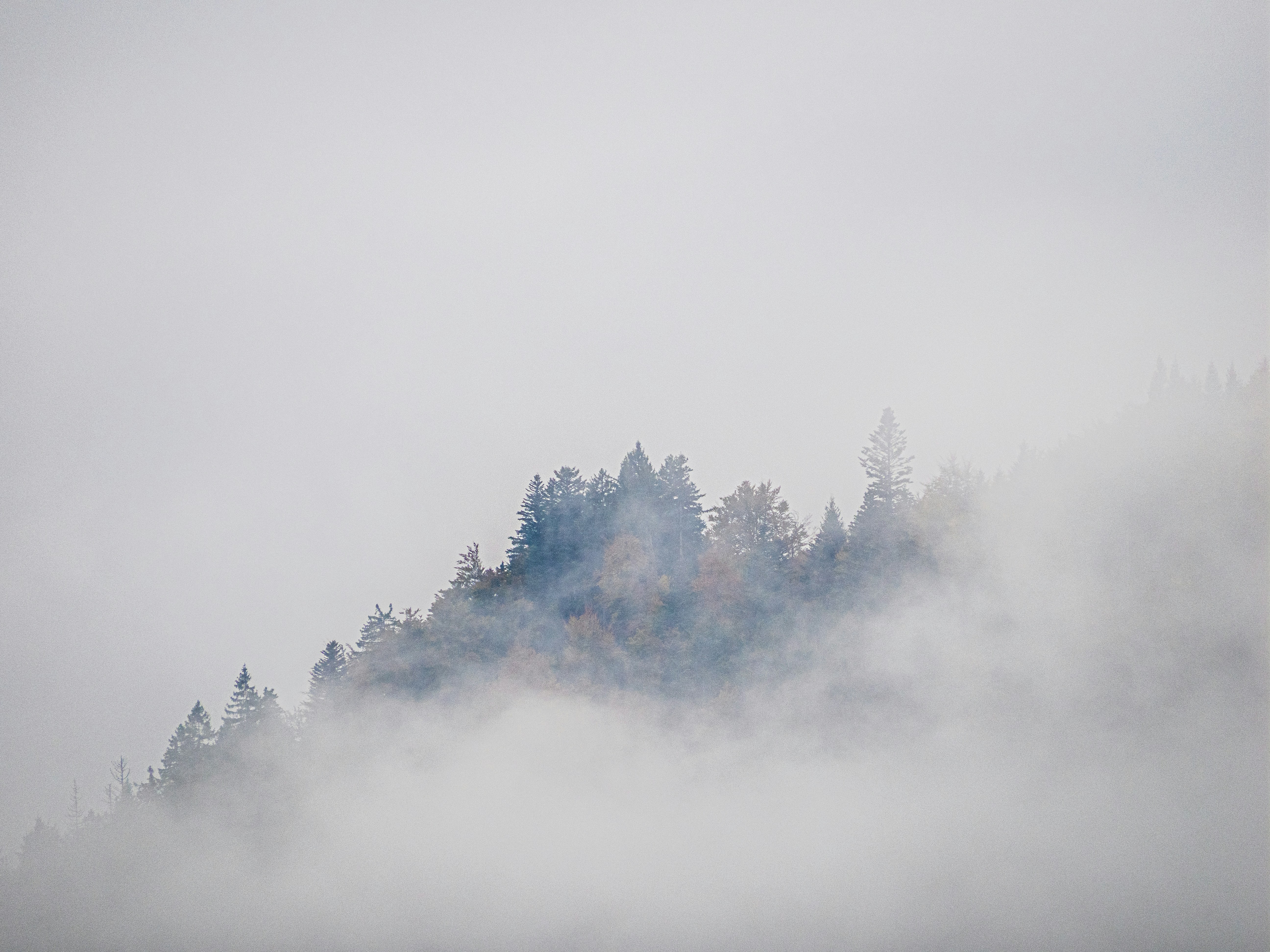 Photo by Diego Romeo with OM System OM-1