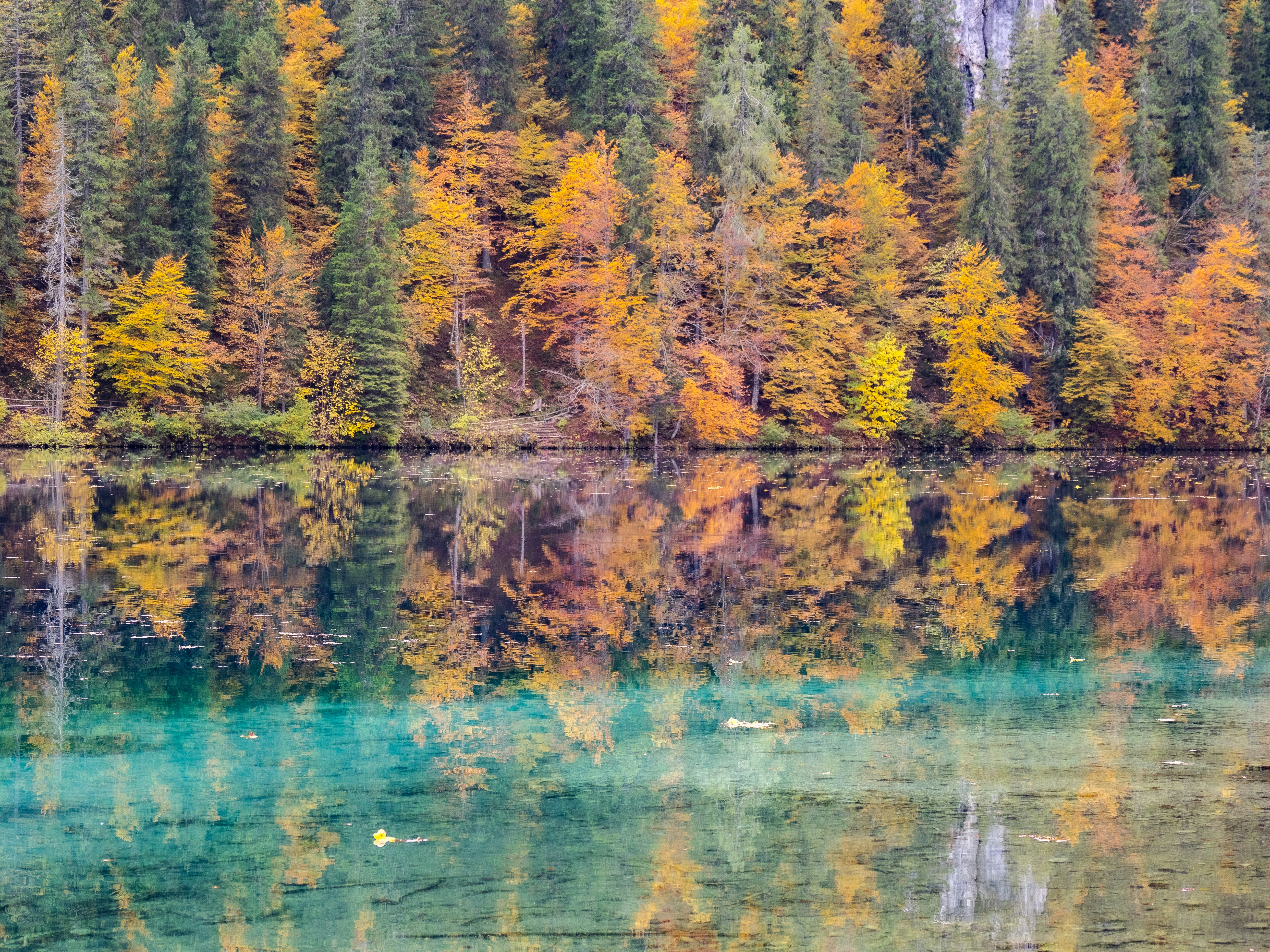 Vibrant autumn foliage reflecting on a tranquil lake, creating a mesmerizing interplay of colors and textures.