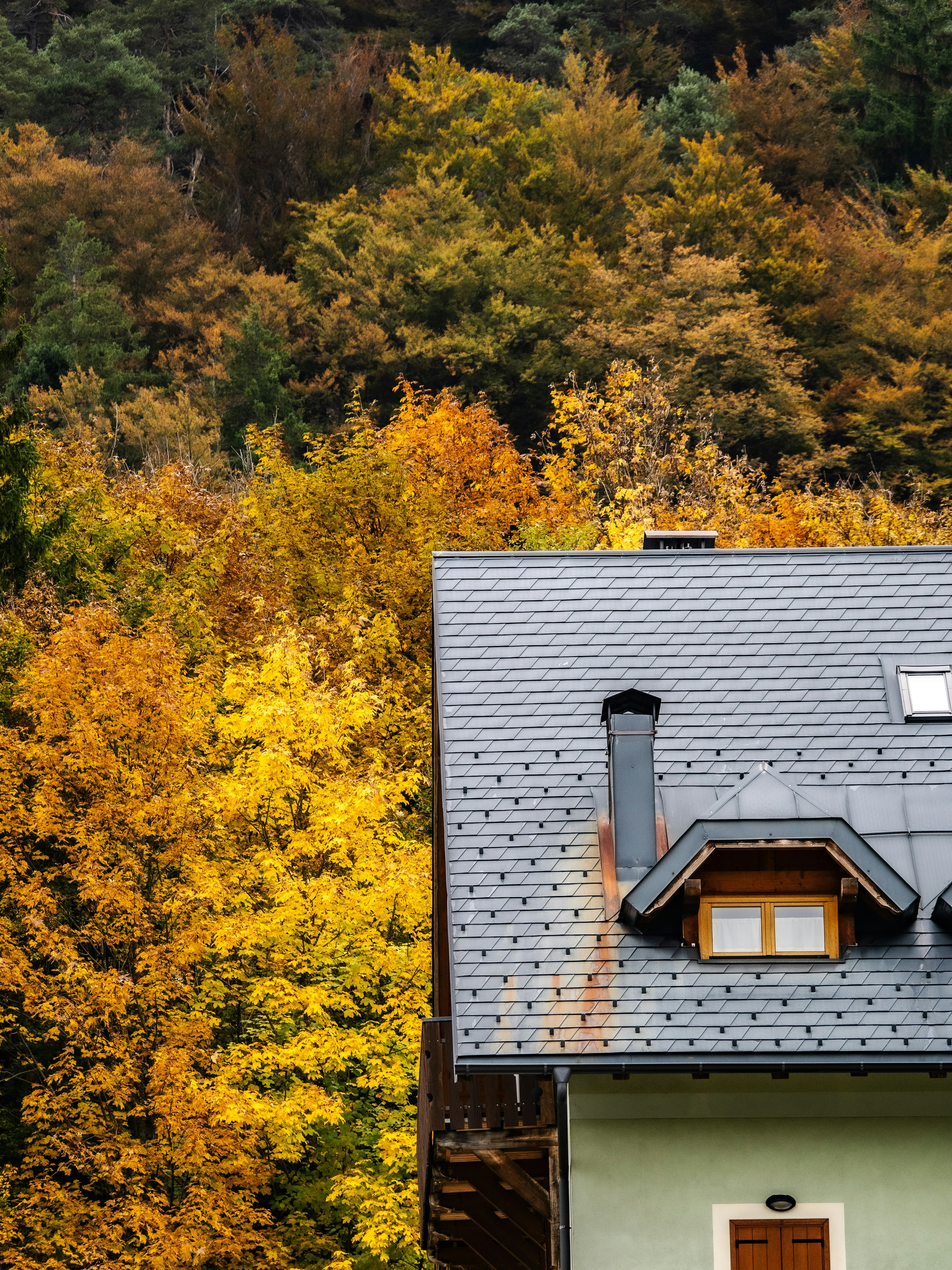 Charming cottage nestled against a backdrop of vibrant autumn foliage, showcasing a blend of architecture and nature's seasonal colors.