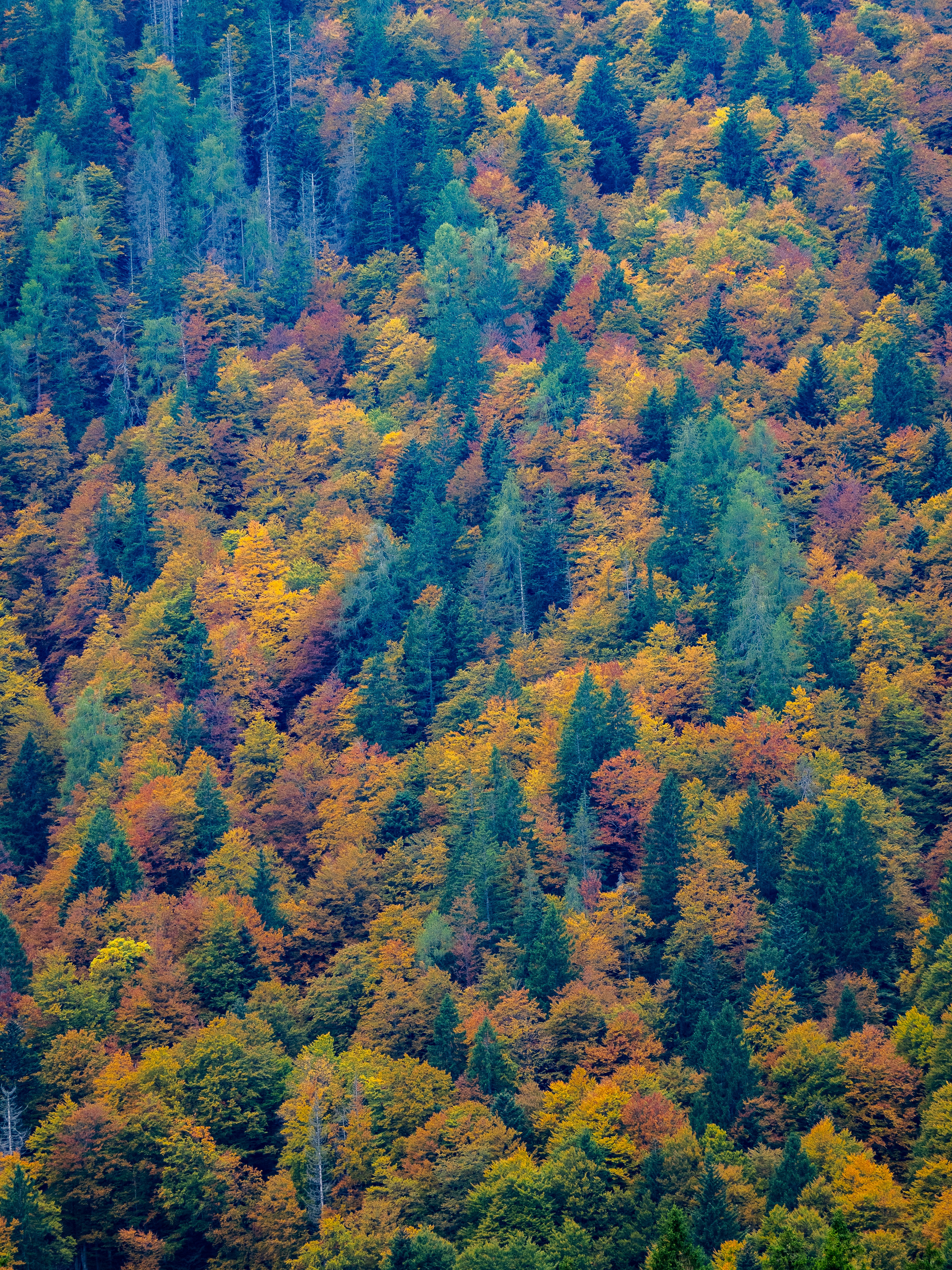 Photo by Diego Romeo with OM System OM-1