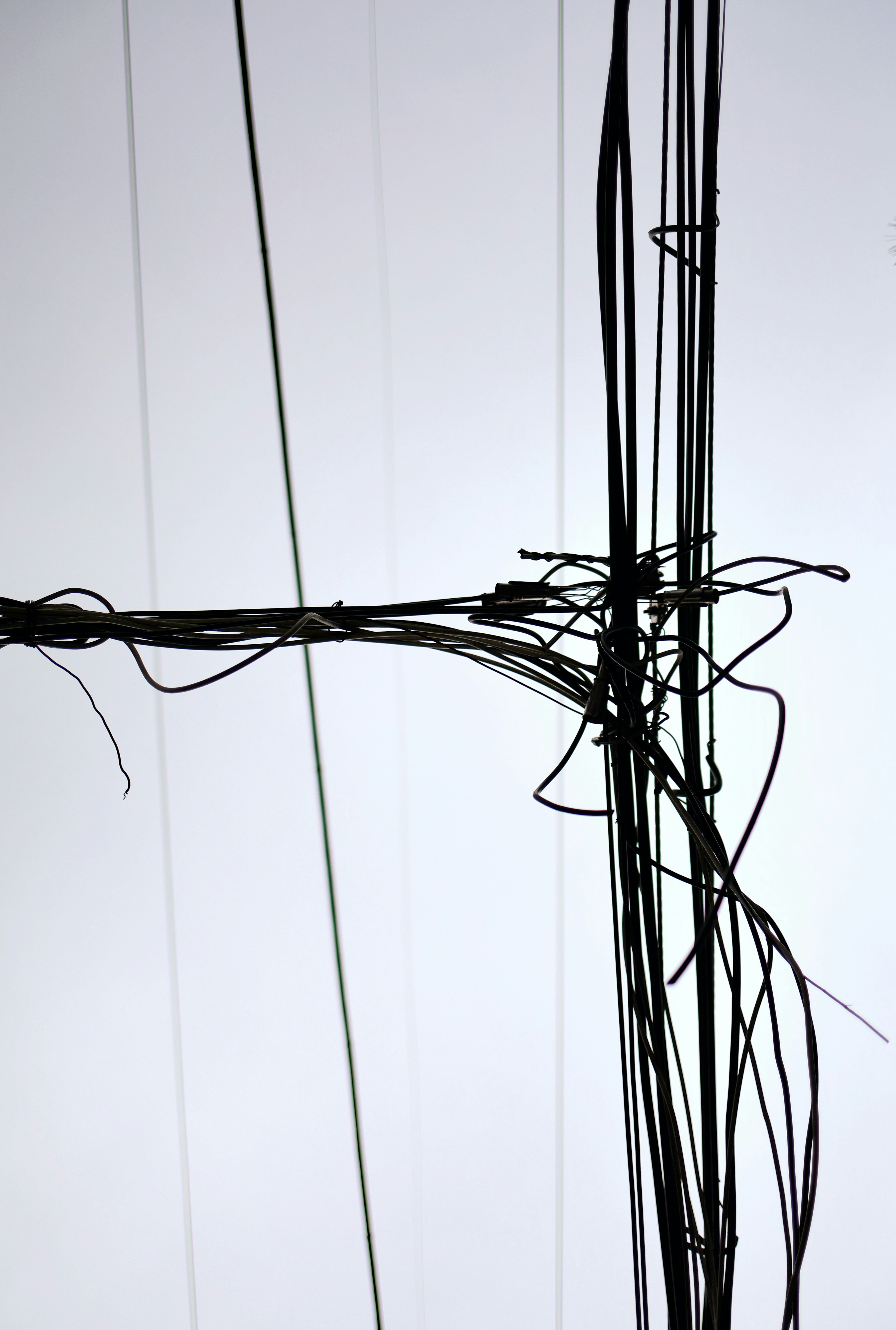 Tangled Connections: A Study in Urban Complexity
