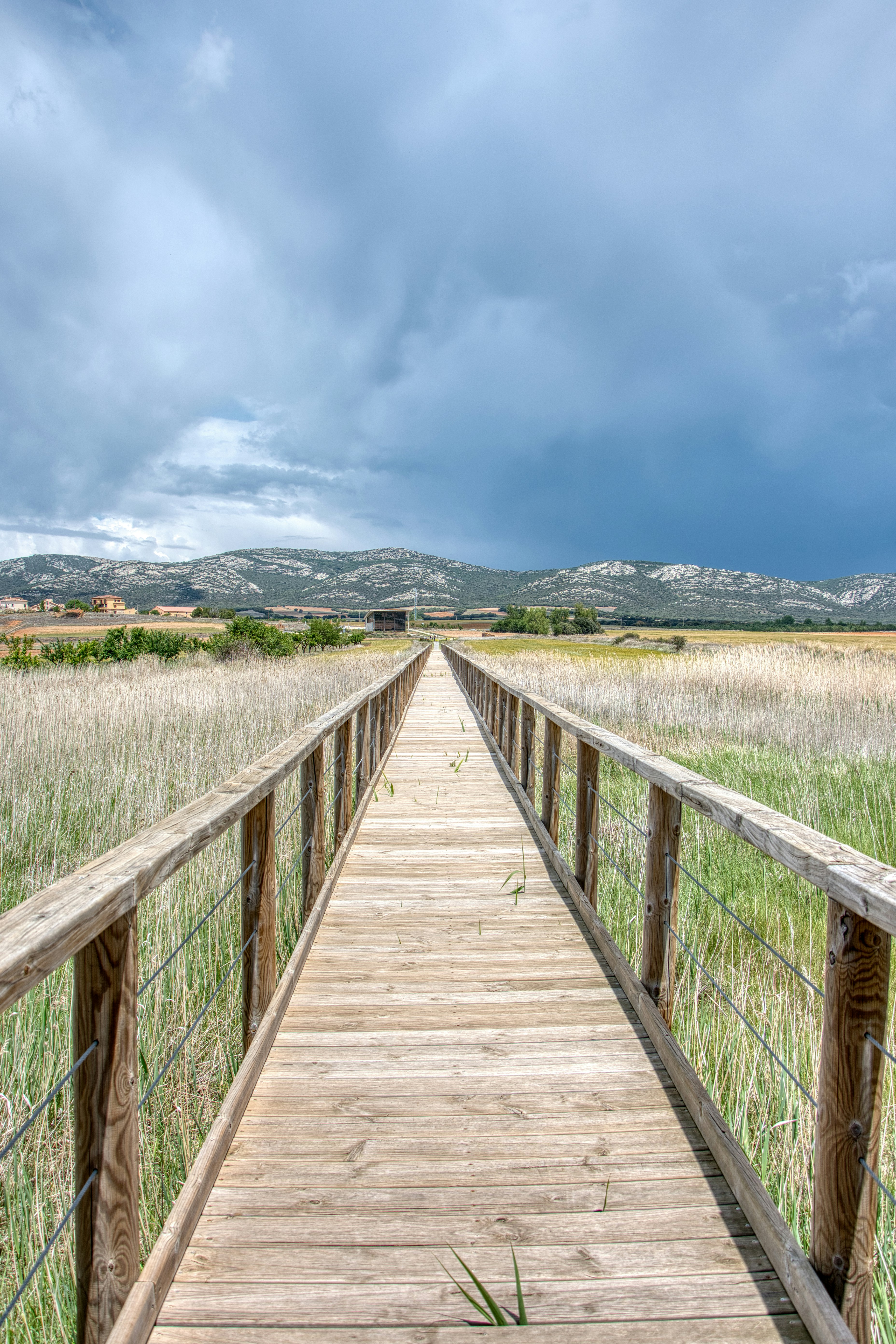 Wooden walkway through a field towards mountains.