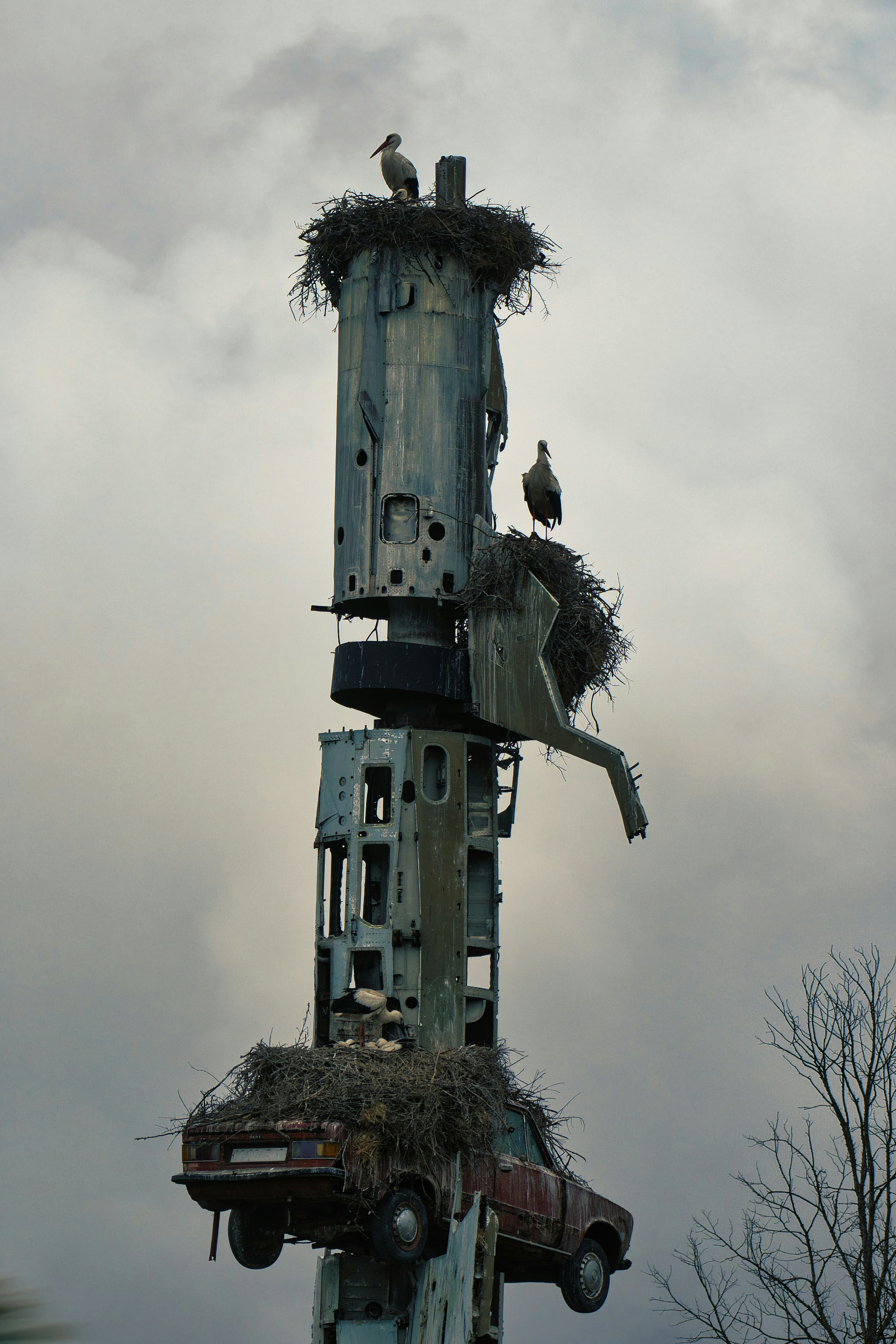 Photo by Foto Micha with Nikon Z50