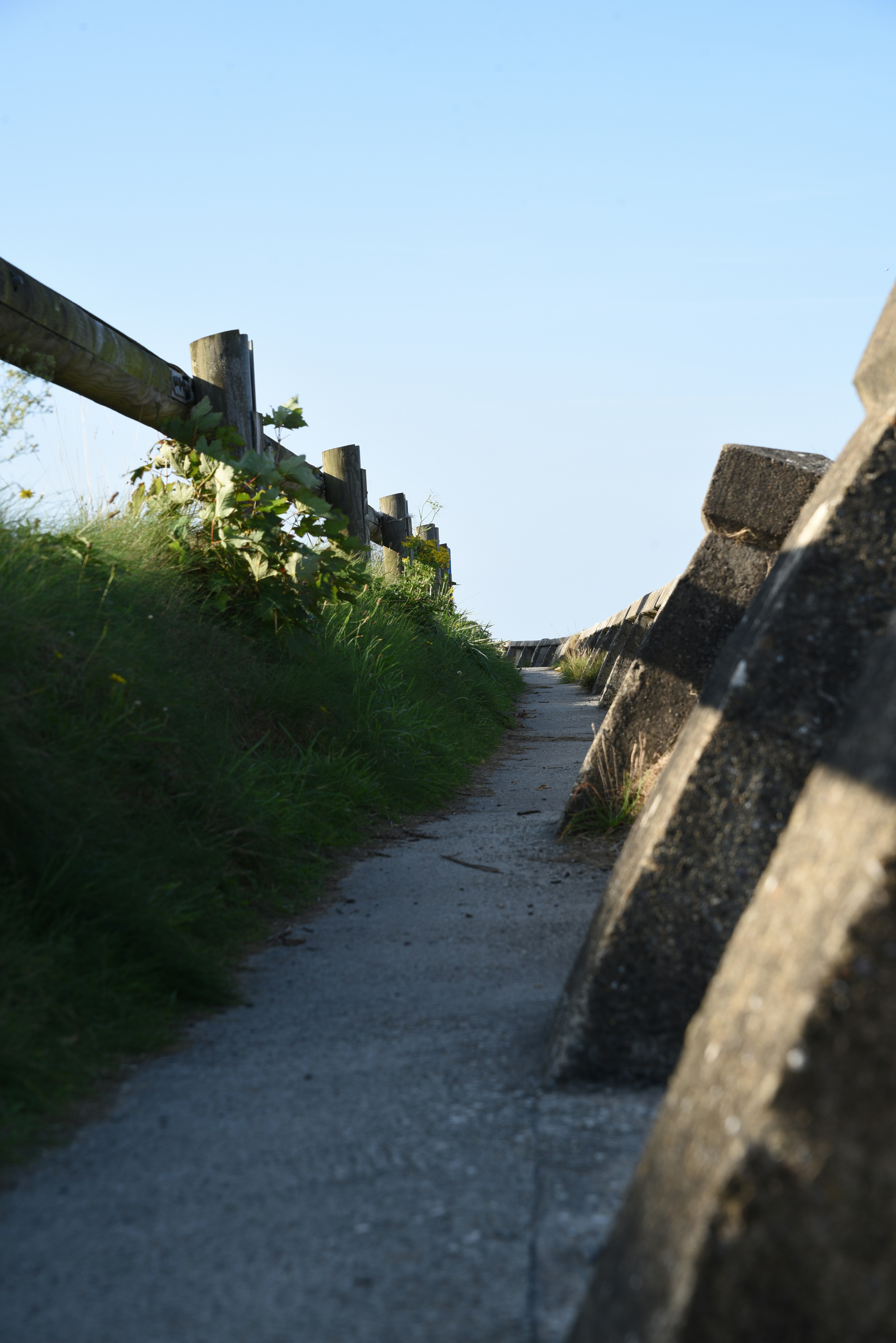 Pathway to Serenity: A Journey Along the Coastline