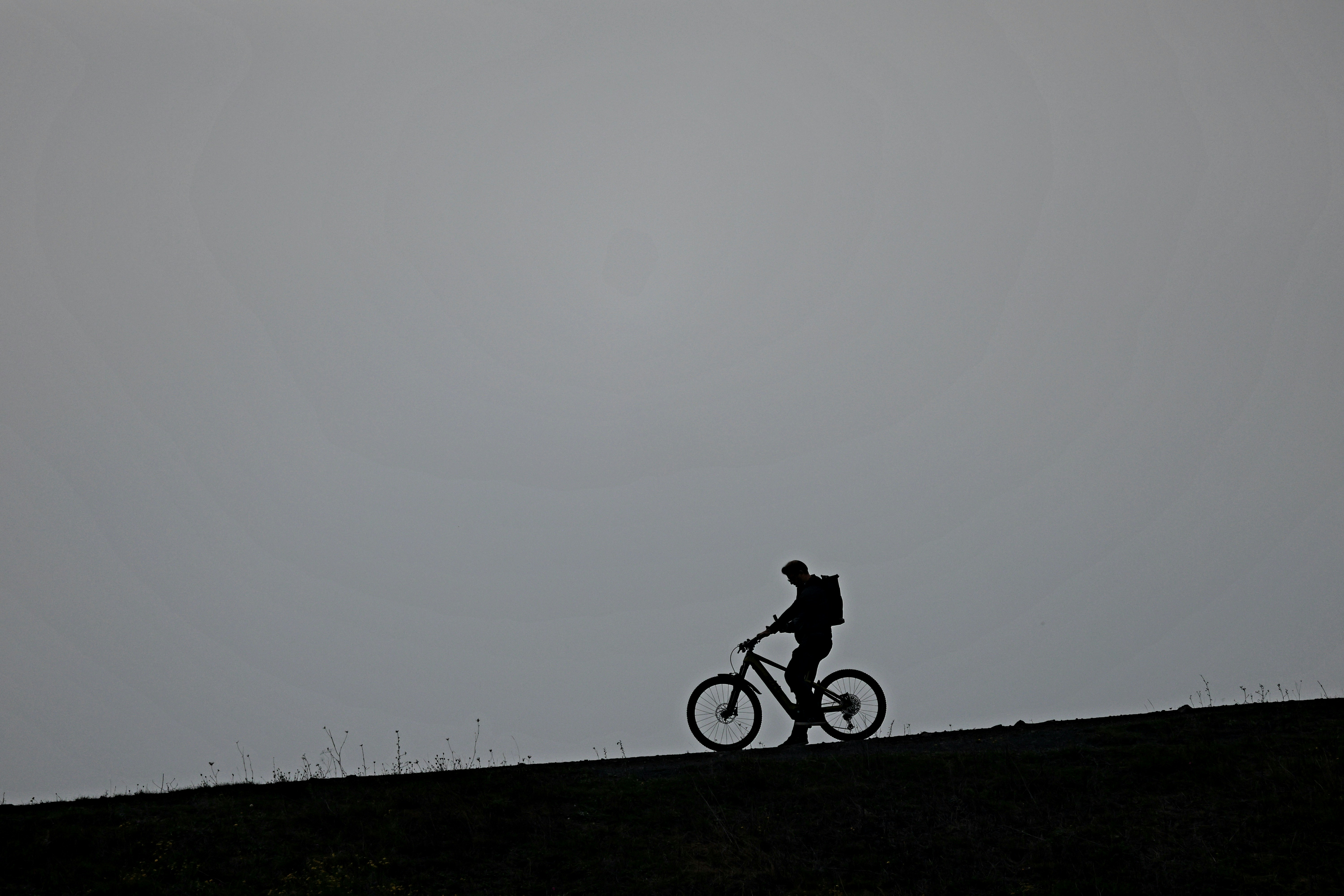 Journey into the Mist