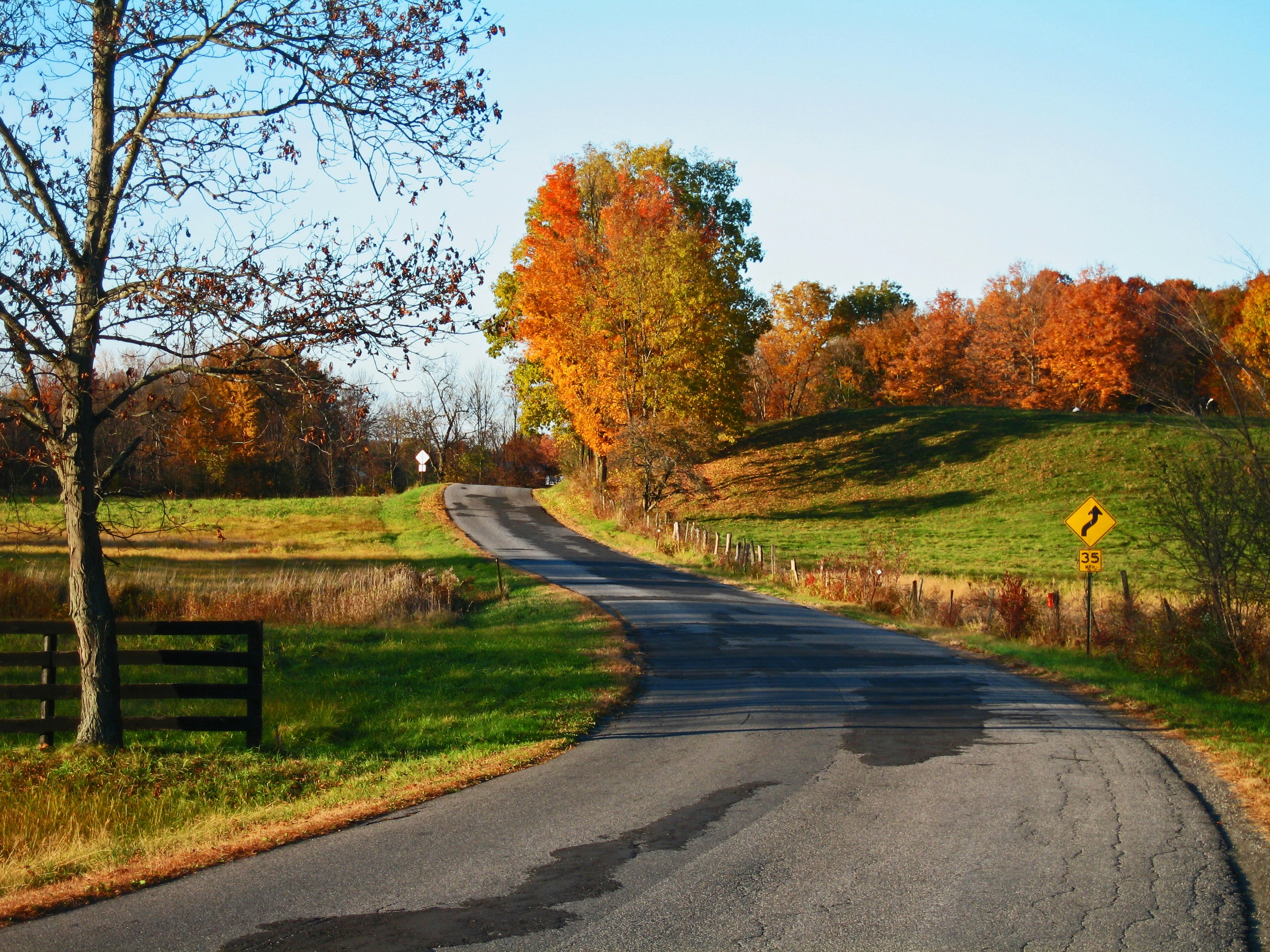 Curving country road lined with trees showcasing vibrant autumn foliage under a clear blue sky.