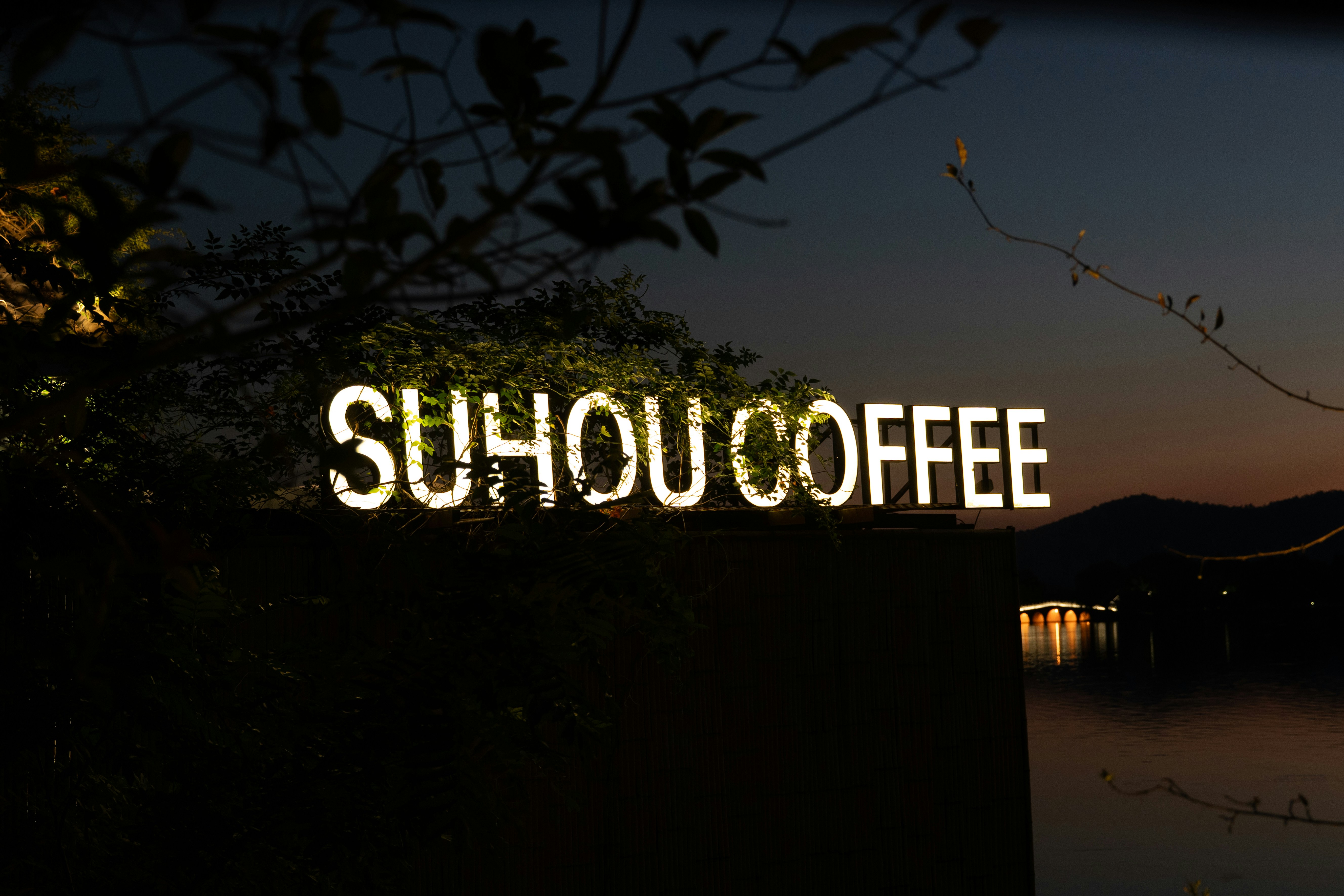 Illuminated Serenity: The Essence of Suhou Coffee