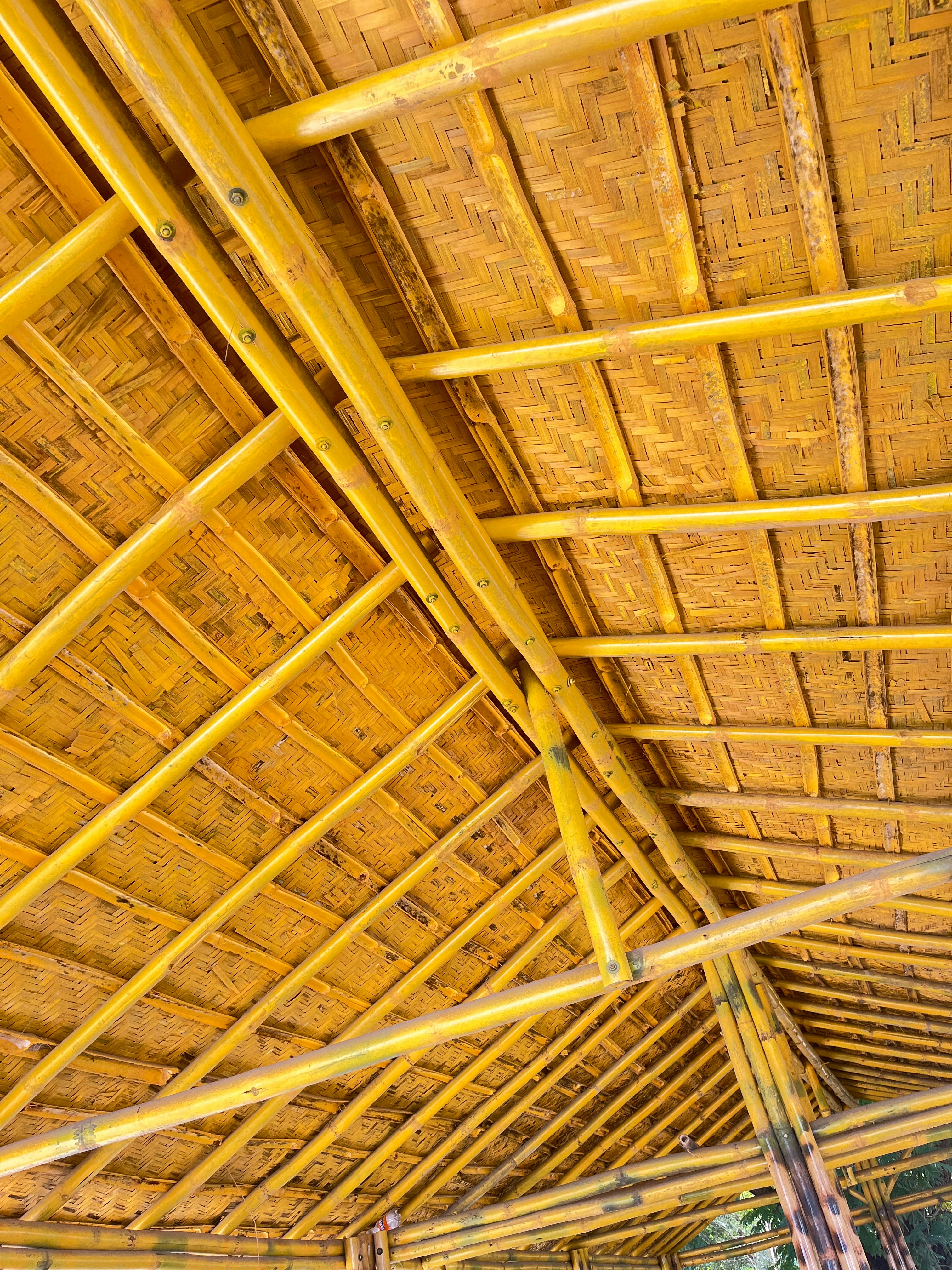 Intricate bamboo ceiling design showcasing the craftsmanship of traditional building techniques.