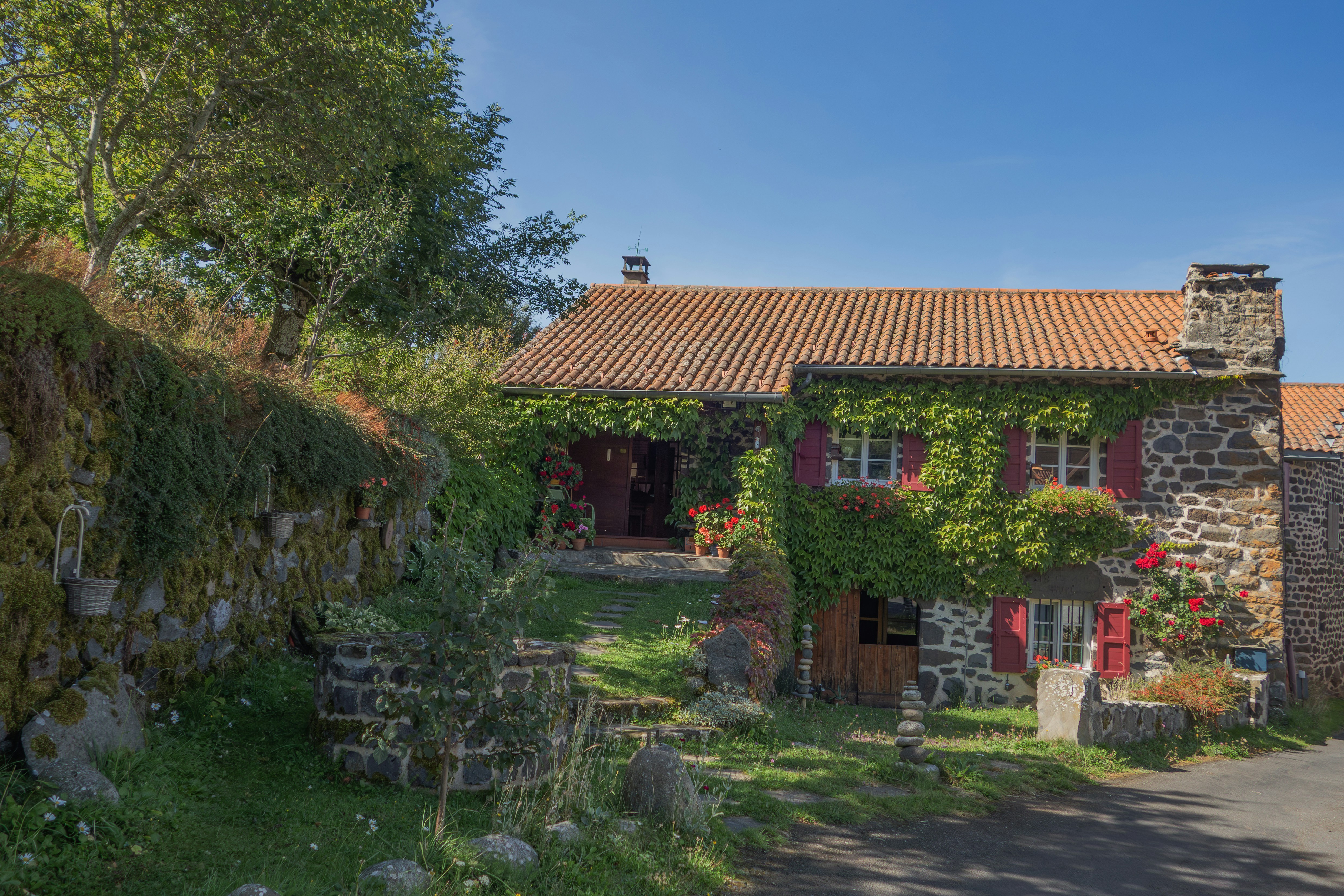 Doorway in Ivy: a Sunlit Stone Cottage on a Quiet Lane