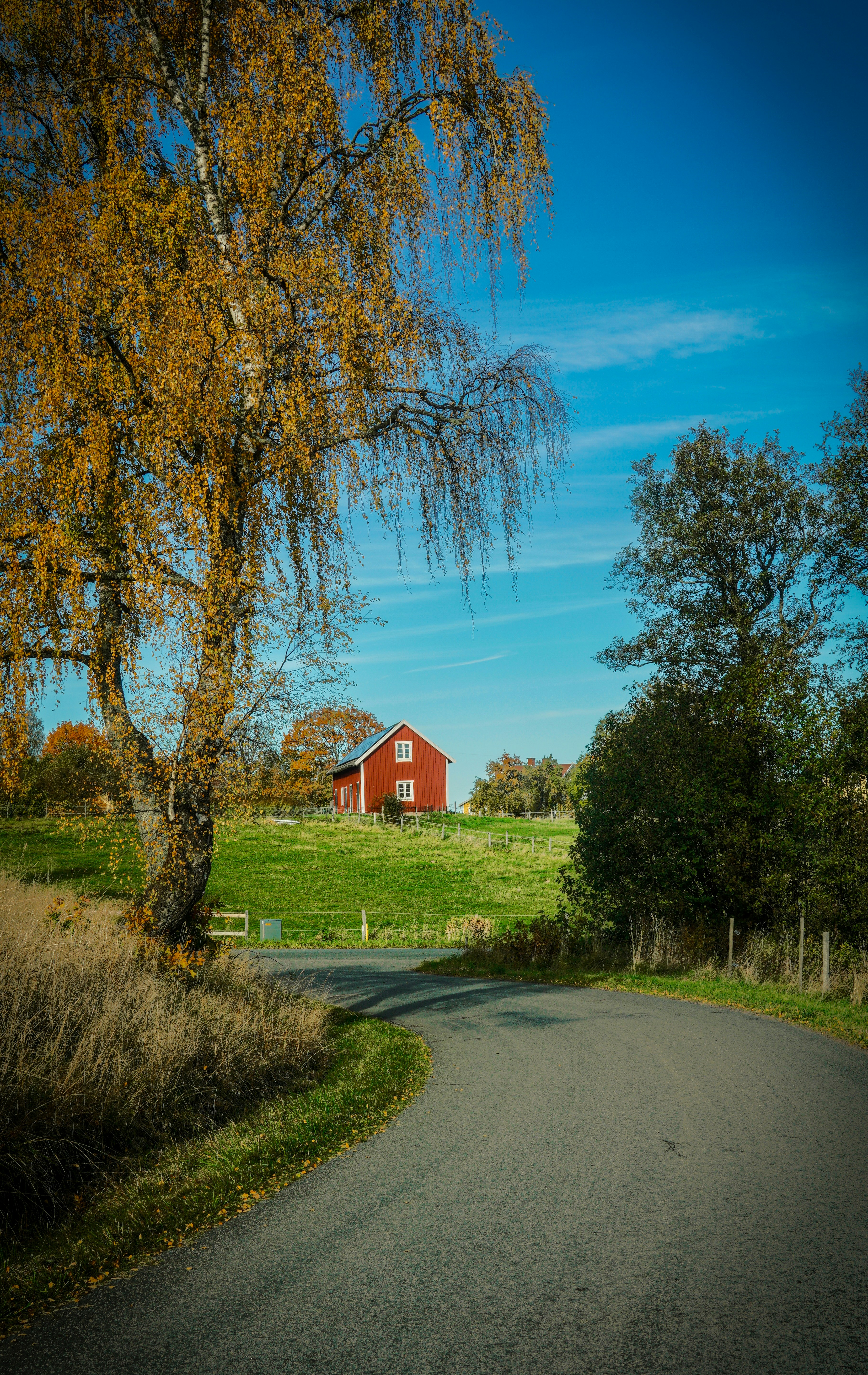 Vibrant red house nestled amidst golden foliage and rolling green hills along a winding road.