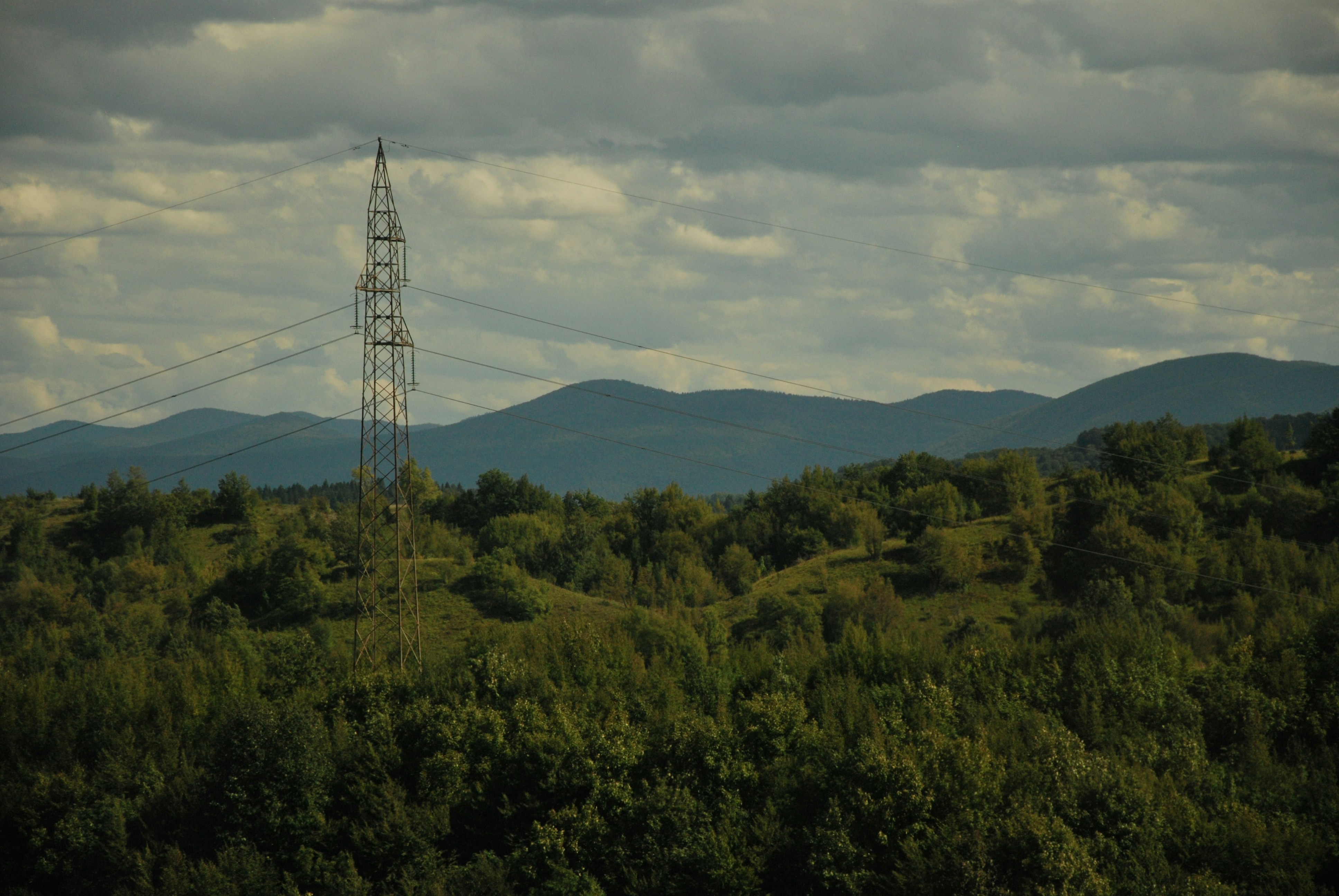 Whispers of Nature: The Power of Connectivity