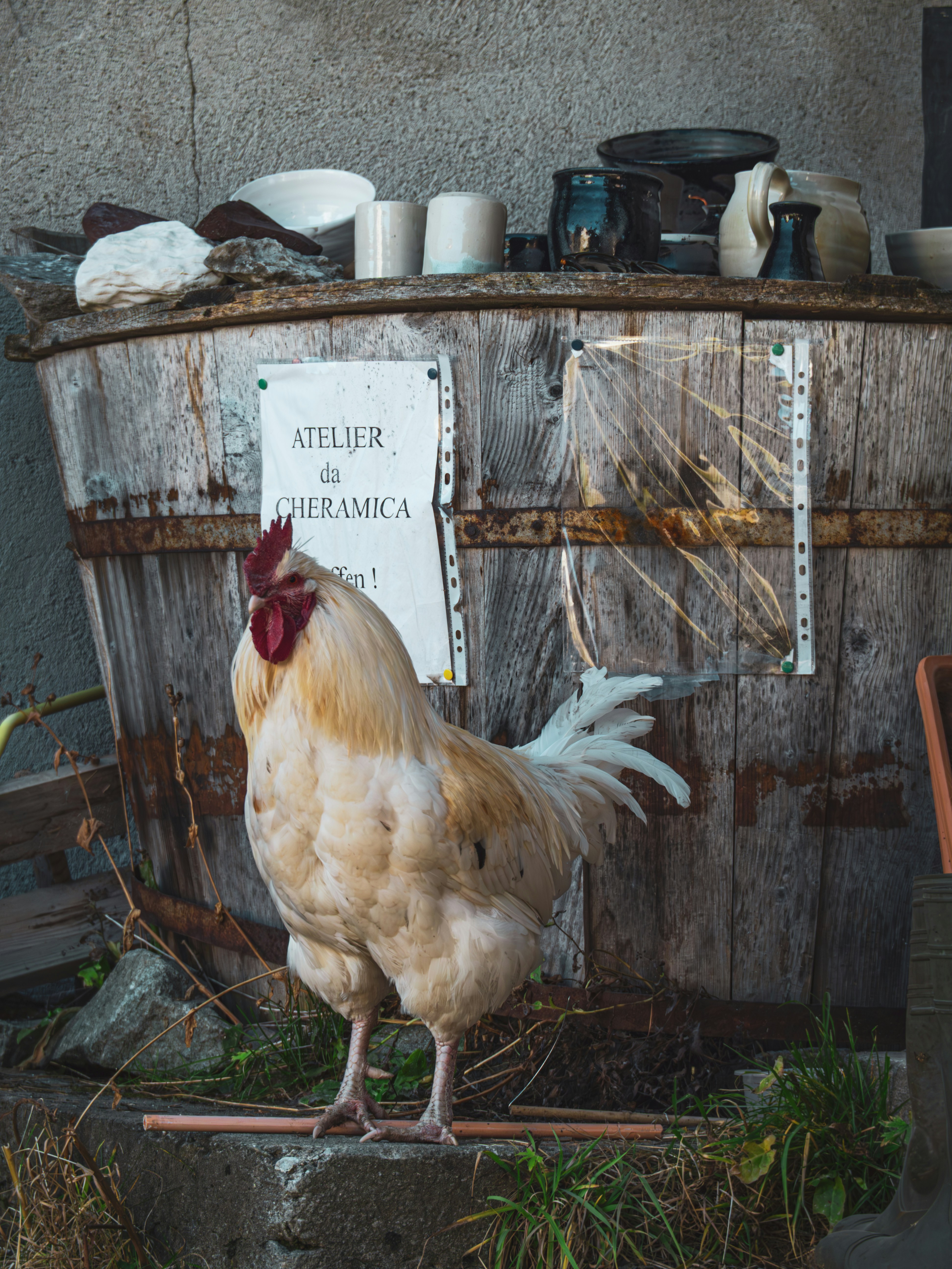 The Rooster's Creative Haven