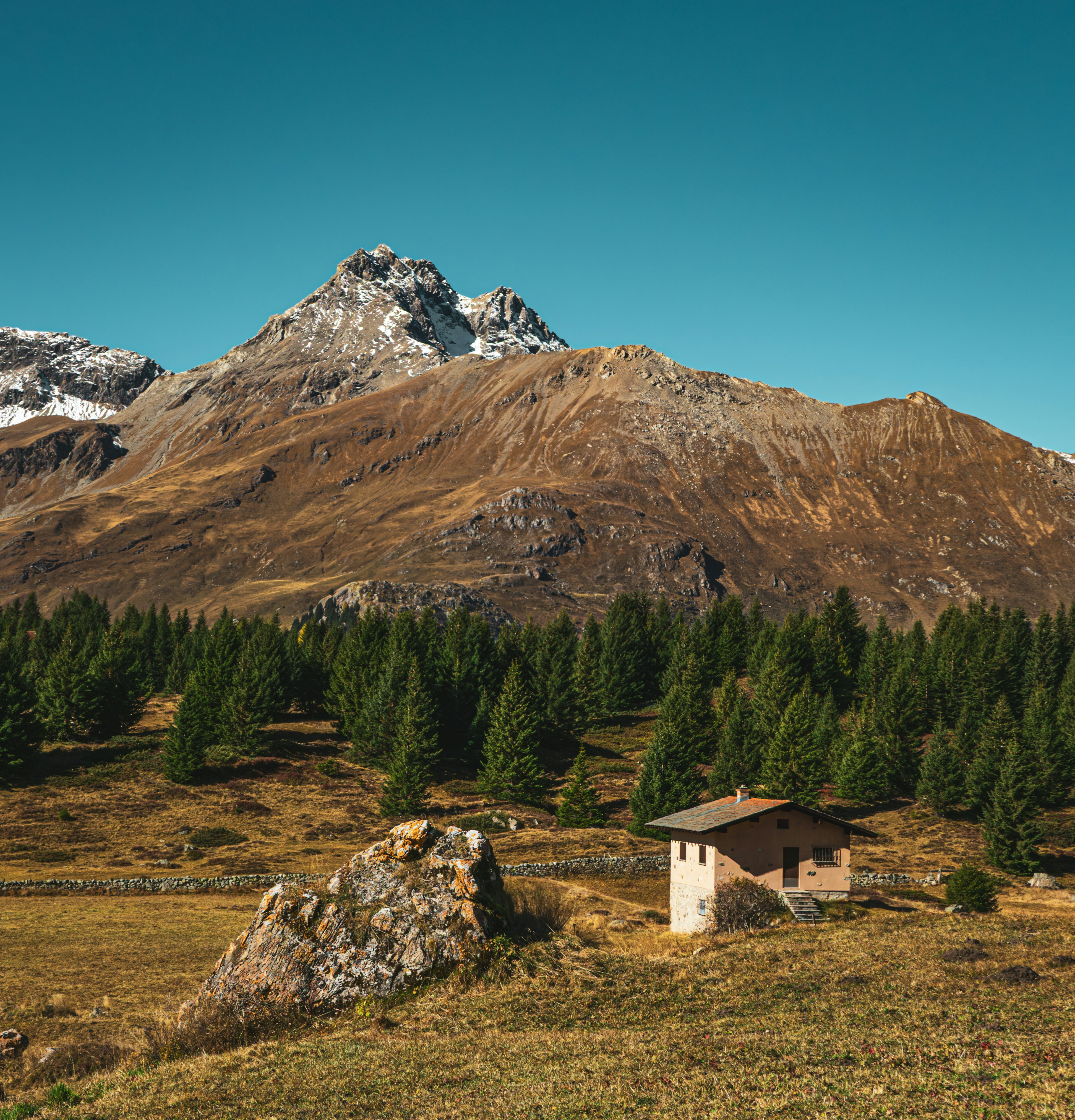 Photo by Christopher Politano with Panasonic Lumix G9