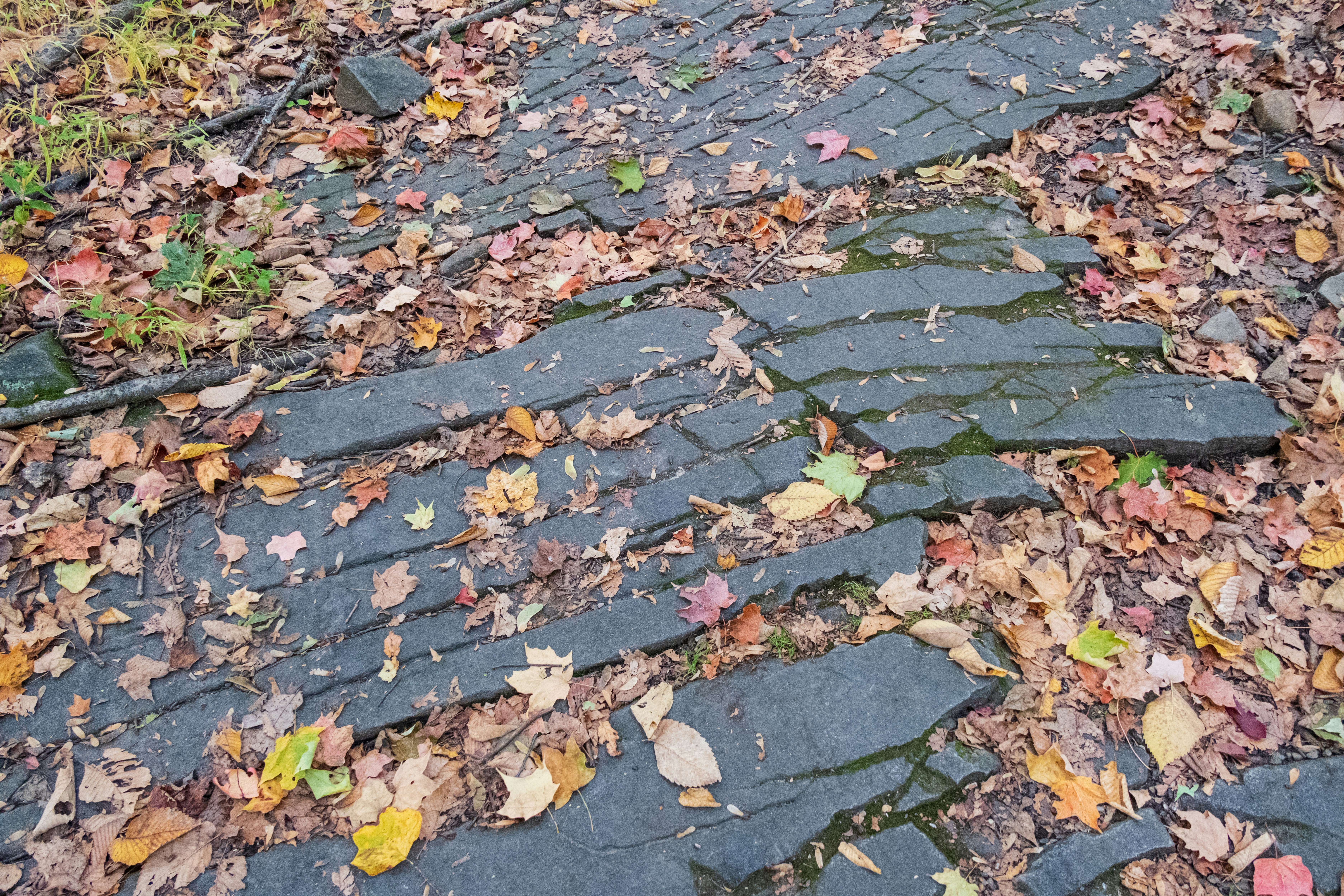 Photo by MICHAEL CHIARA with Fujifilm X-H2S