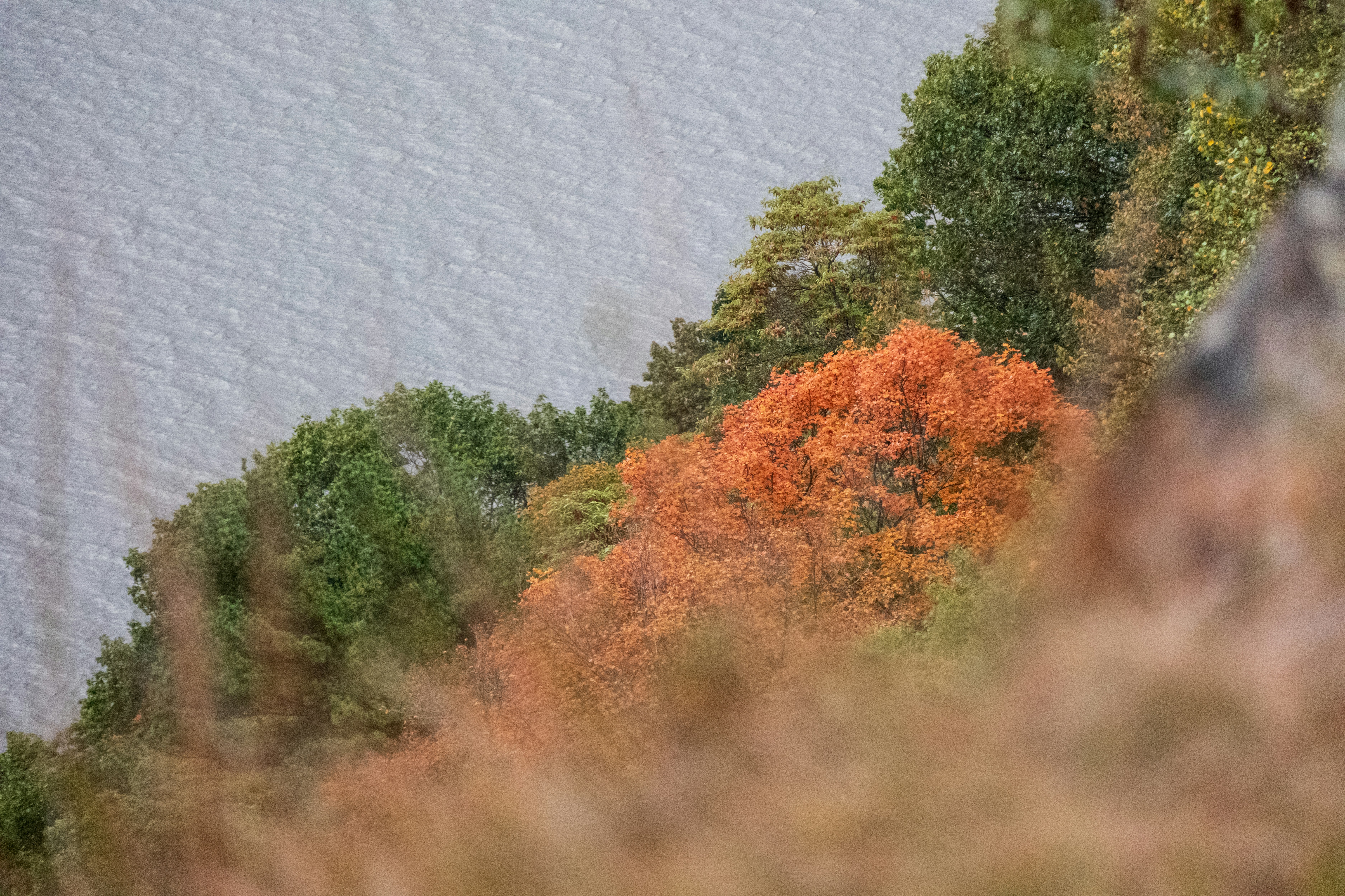 Vibrant orange foliage contrasts with lush green trees near a shimmering body of water, showcasing the beauty of autumn. The scene captures the transition of seasons.