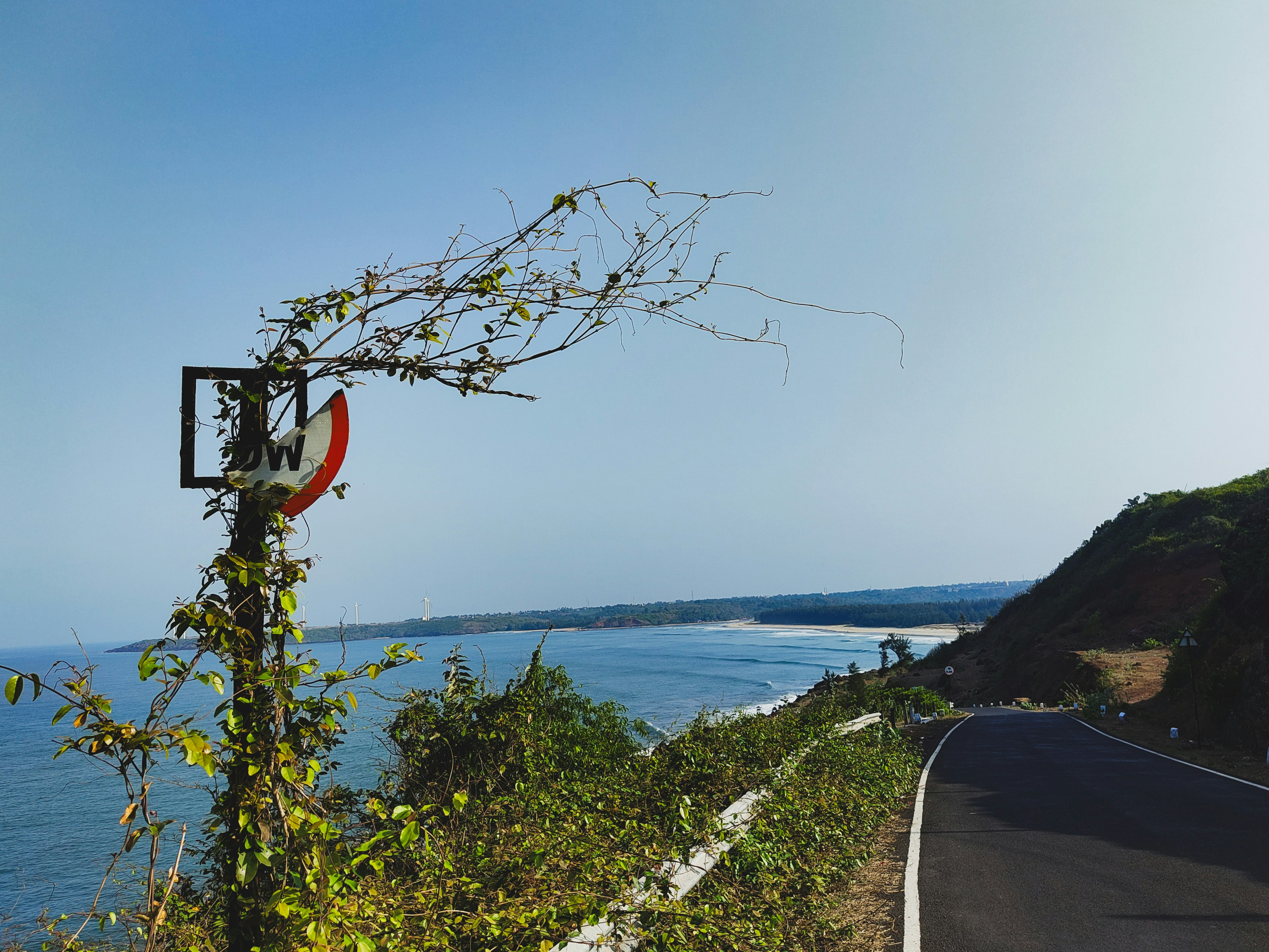 Curved coastal road with a weathered sign entwined in greenery, overlooking a tranquil sea. The scene captures the harmony between nature and infrastructure.