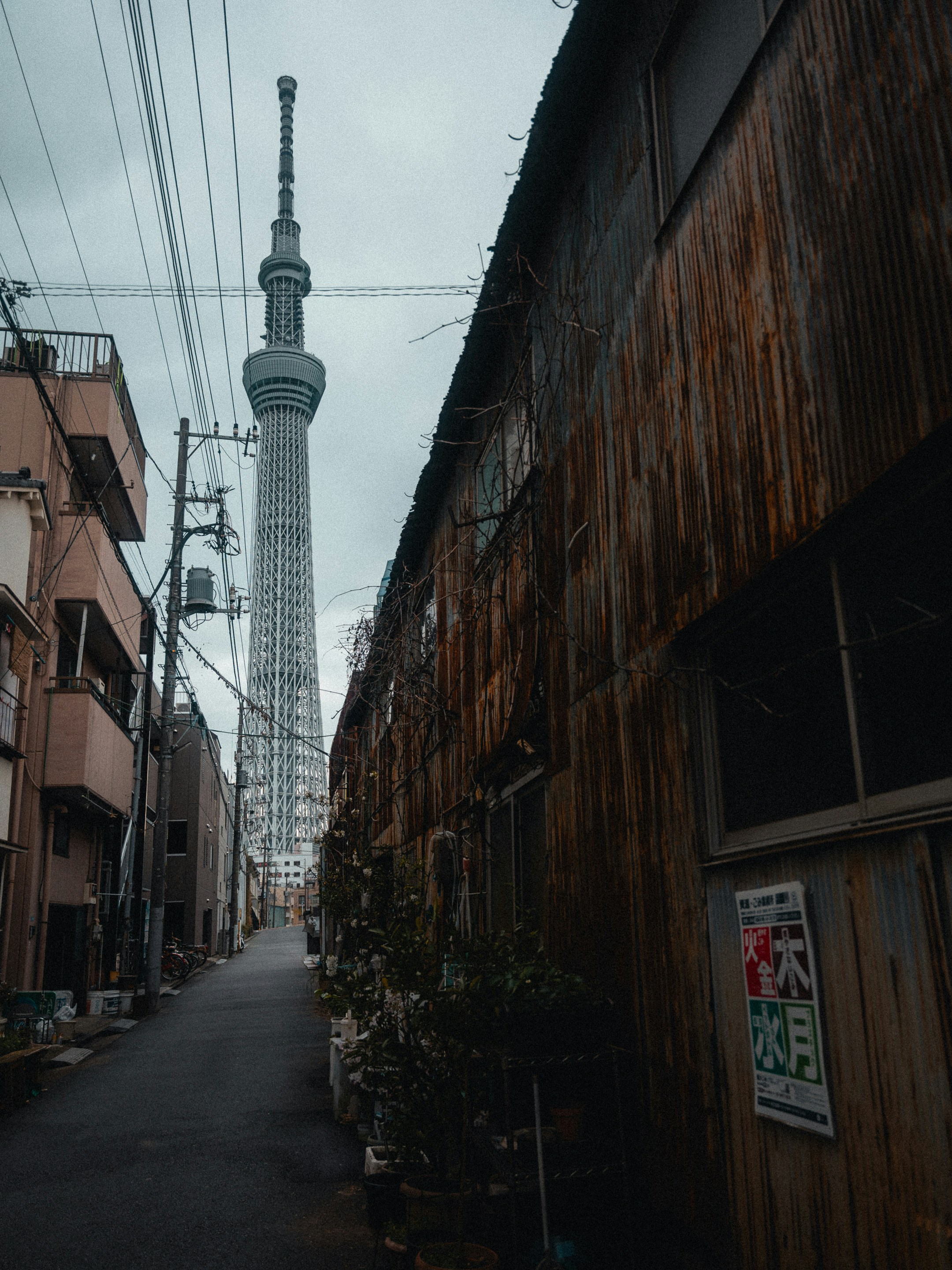 Skytree Through a Narrow Alley: Tokyo's Rusted Corridor Framing a Modern Icon