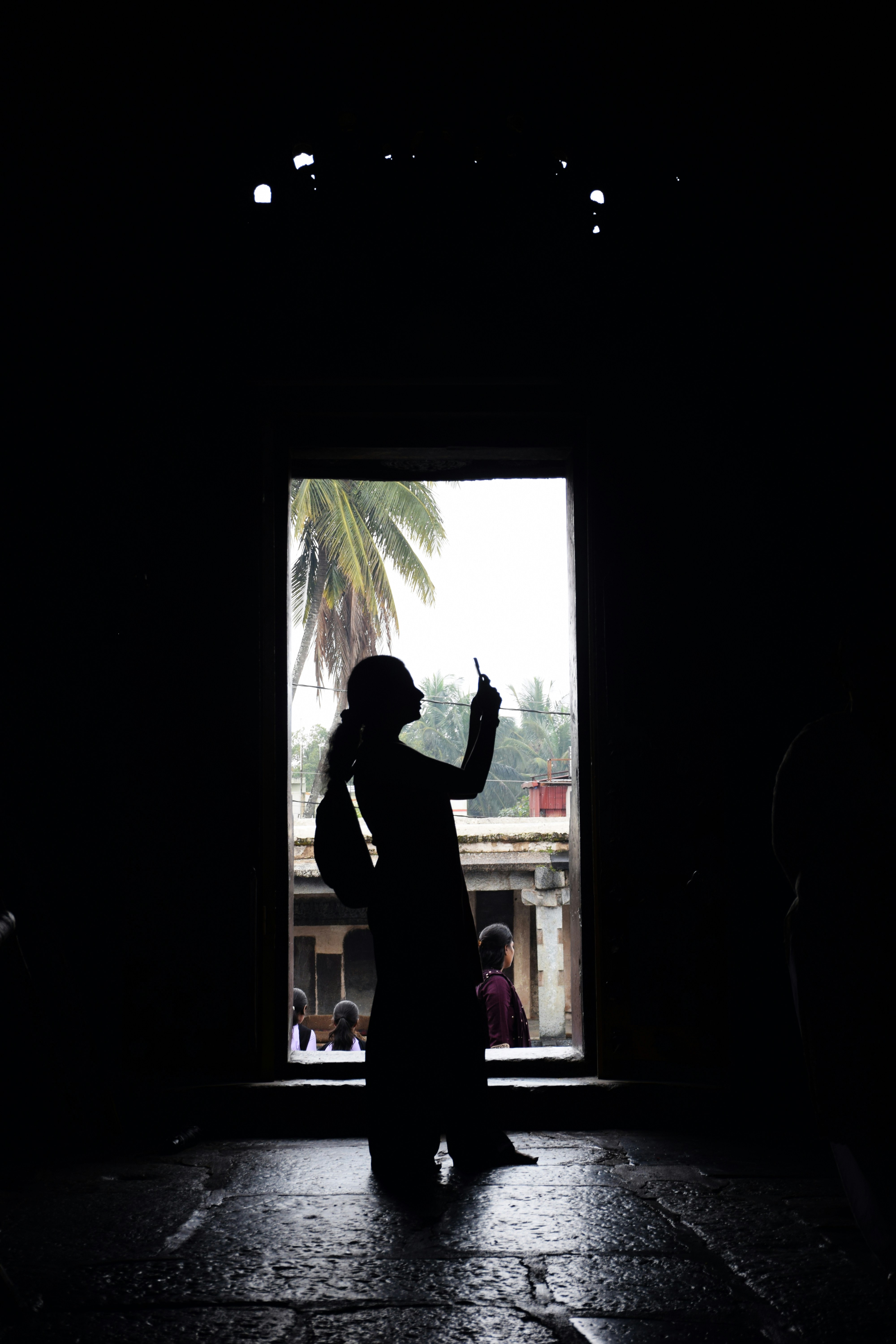 Silhouette of a figure gesturing in a doorway, framed by the lush greenery outside. The atmosphere hints at a moment of contemplation.