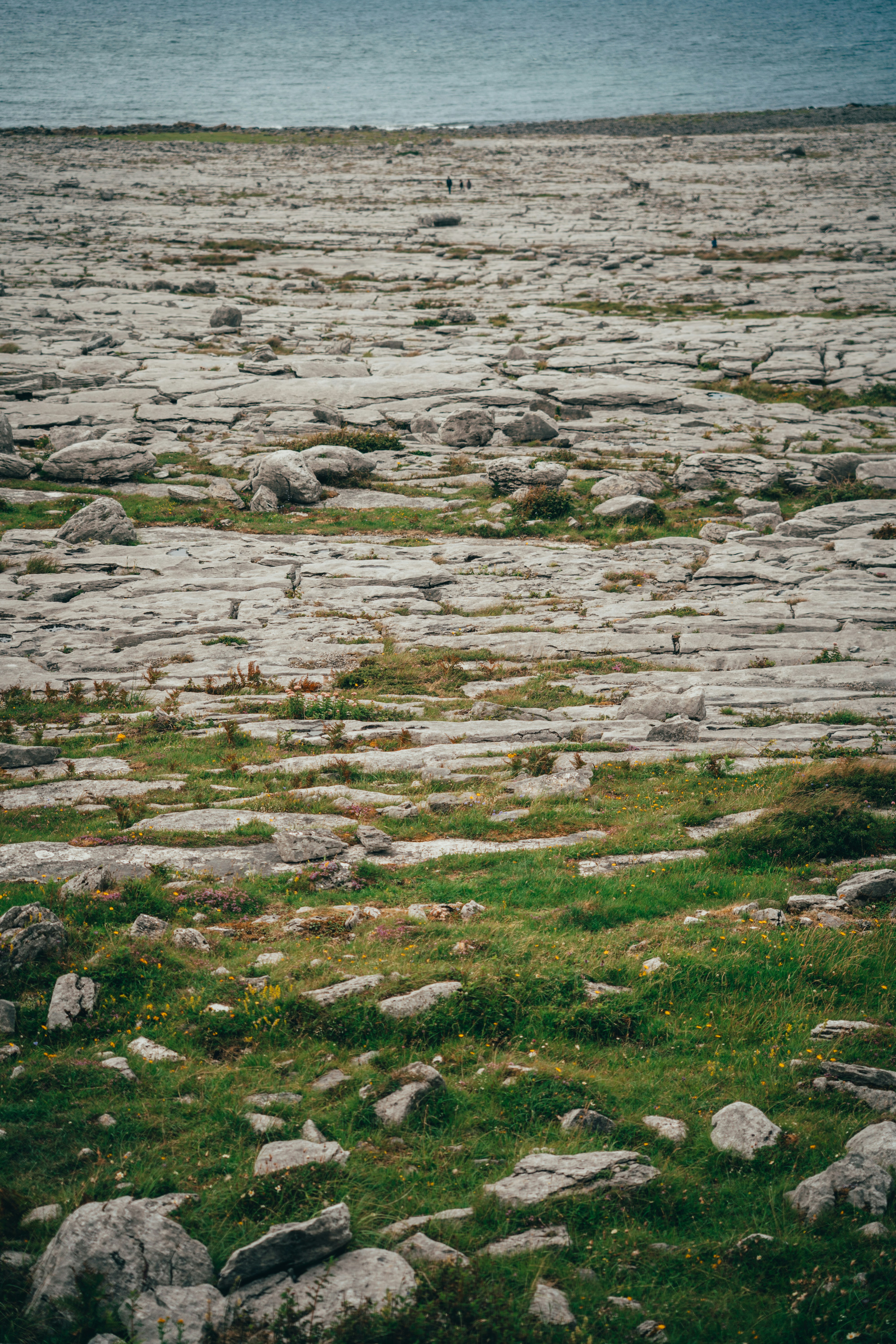 Sea-Terra Mosaic: Cracked Stone Steps Meet the Distant Tide