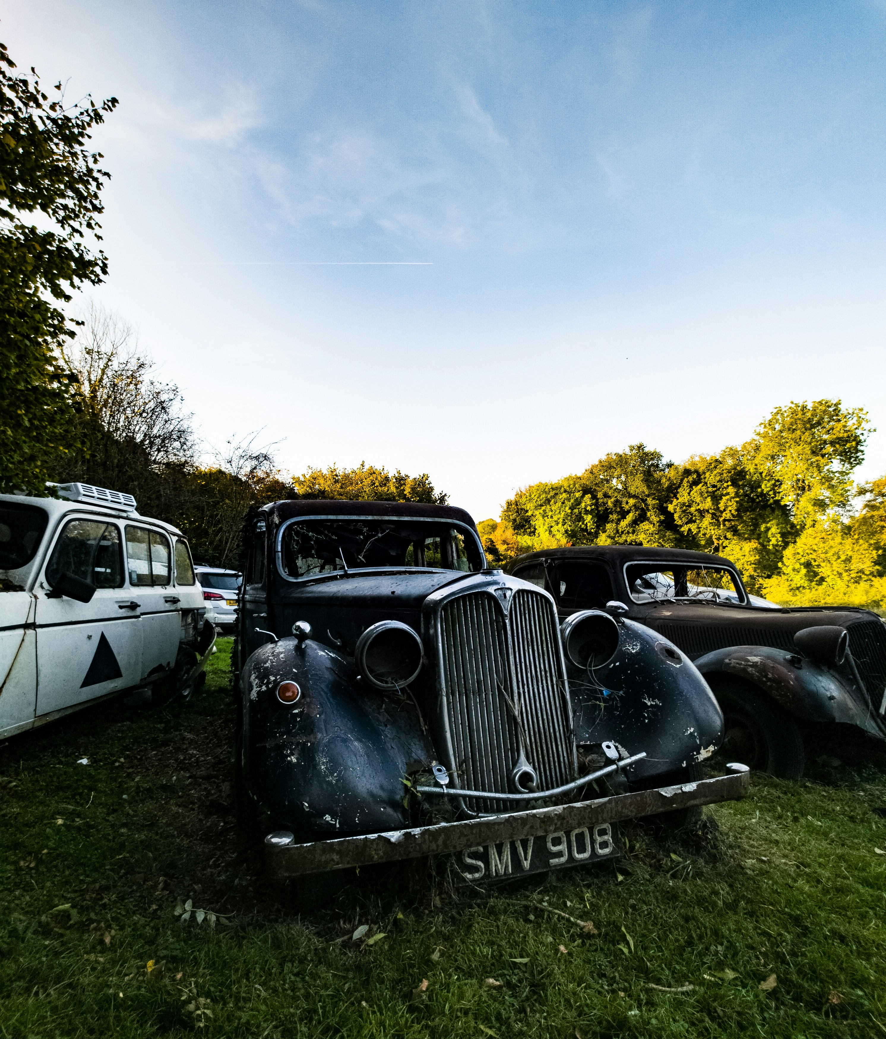 Chrome Echoes: A Row of Weathered Classics Resting in Afternoon Light