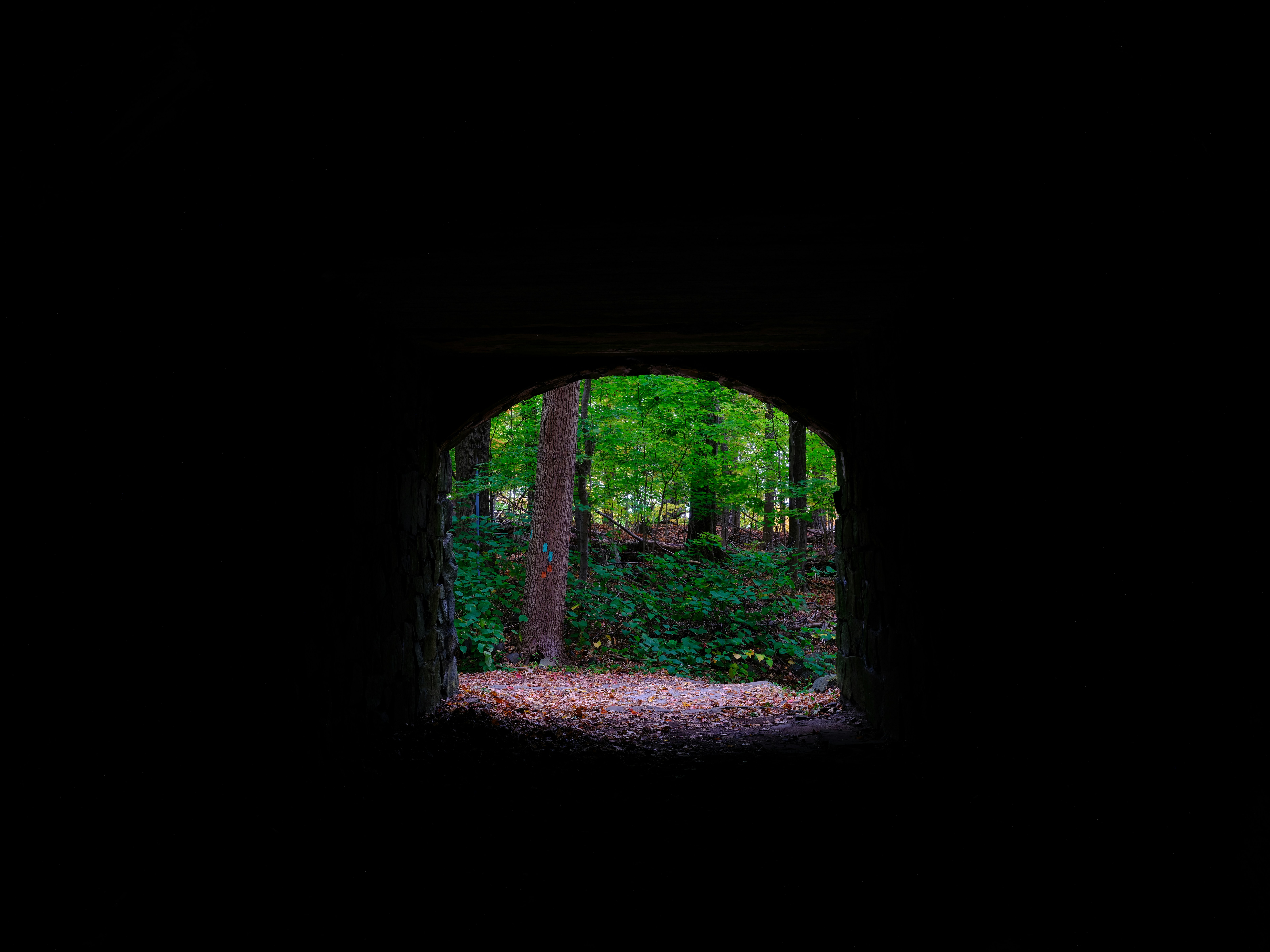Gateway to Verdant Serenity