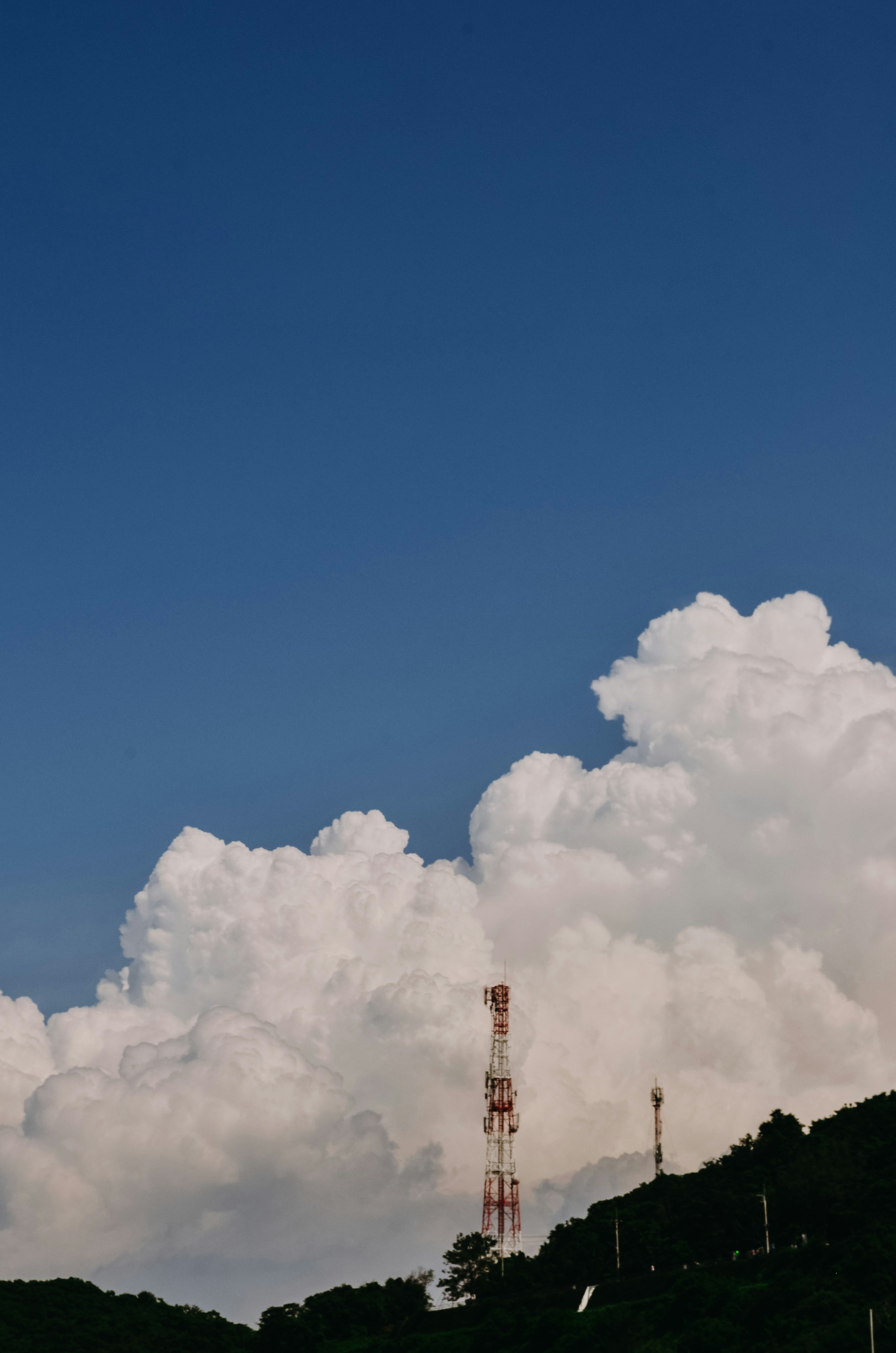 Skyward Signals: The Intersection of Nature and Technology
