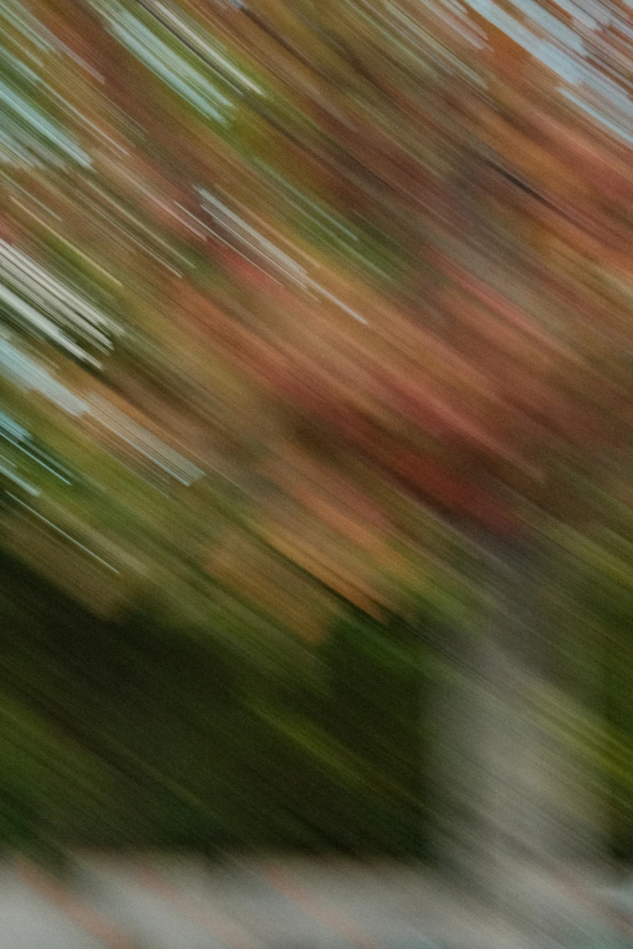 Diagonal motion blur sweeps across an autumn garden, with streaks of green, red, and brown over a soft gray path. The scene feels like a quick panning shot through foliage.