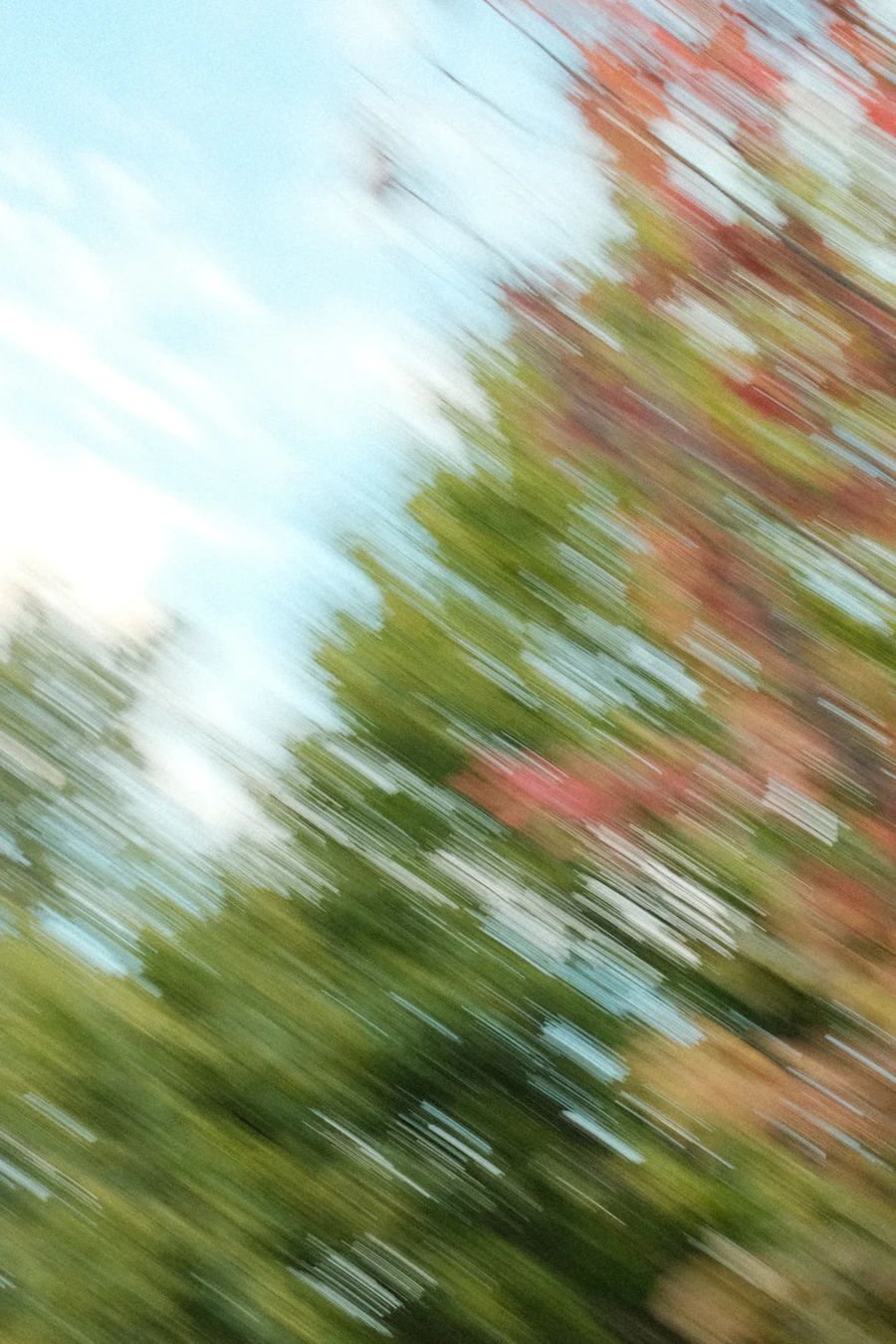 Diagonal motion blur of trees with green and red foliage against a bright blue sky. The scene feels like a fast panning shot outdoors.