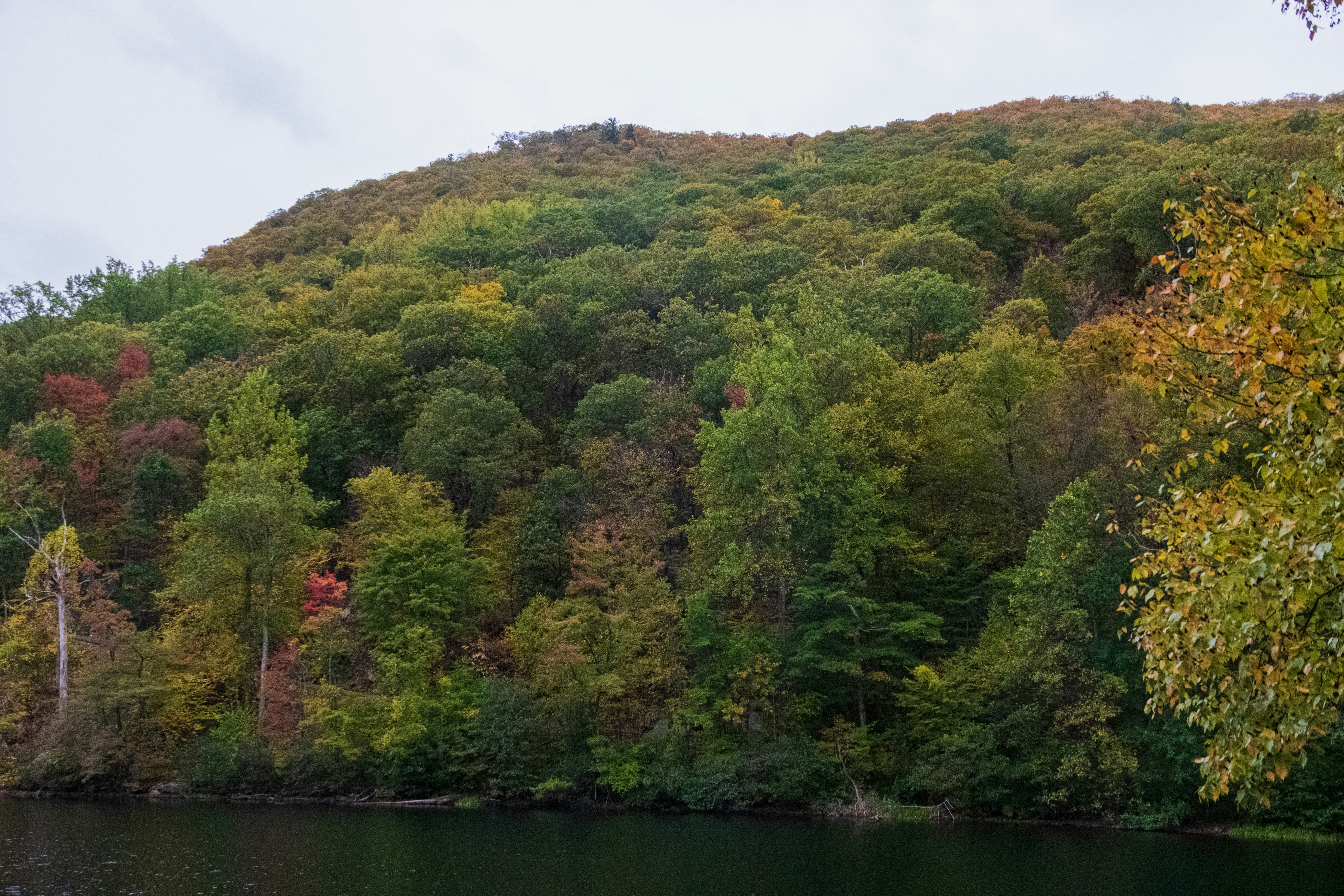 Arbres d’automne sur une colline surplombant l’eau photo – Image ...