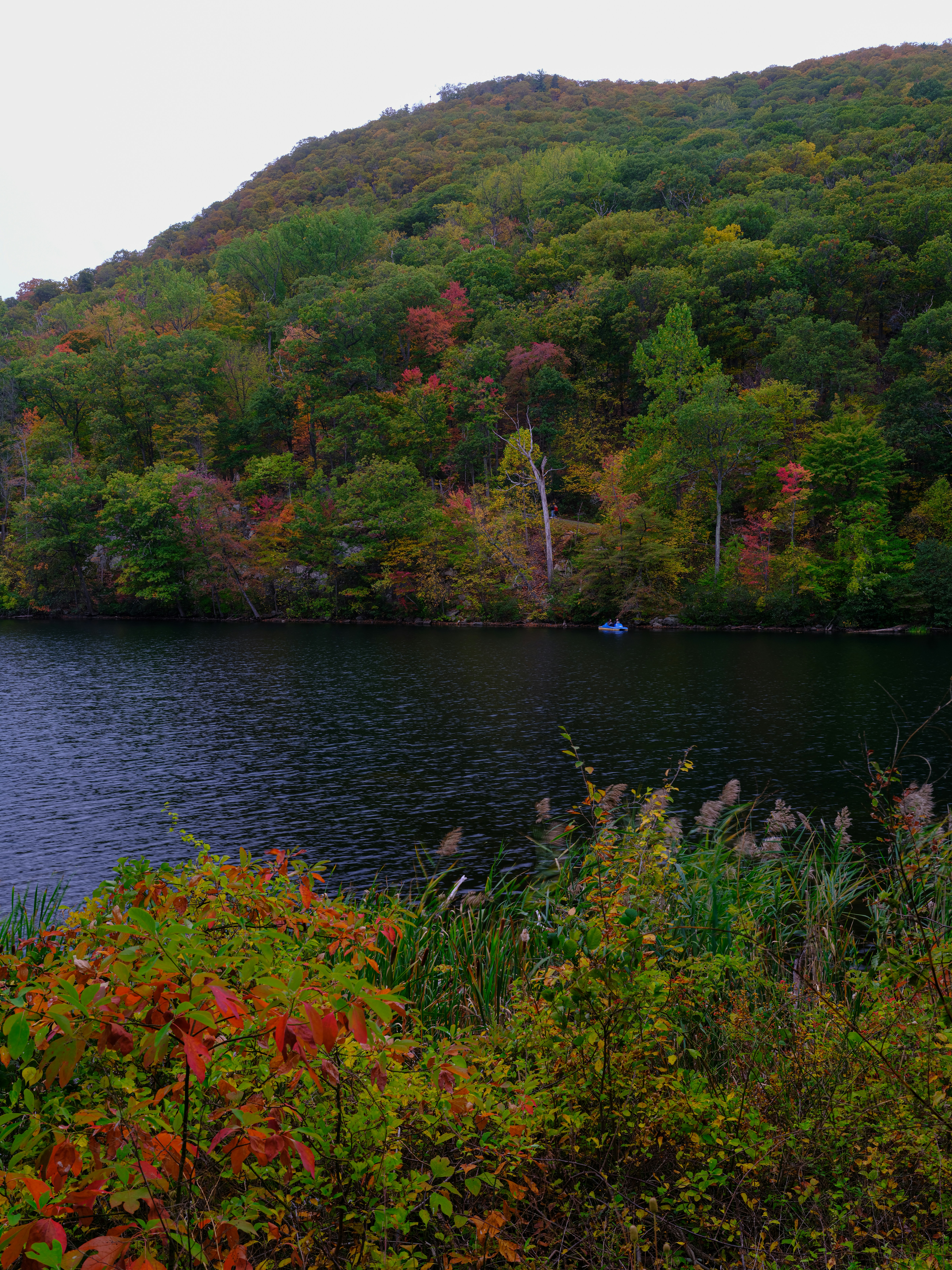 Autumn's Embrace on Serene Waters