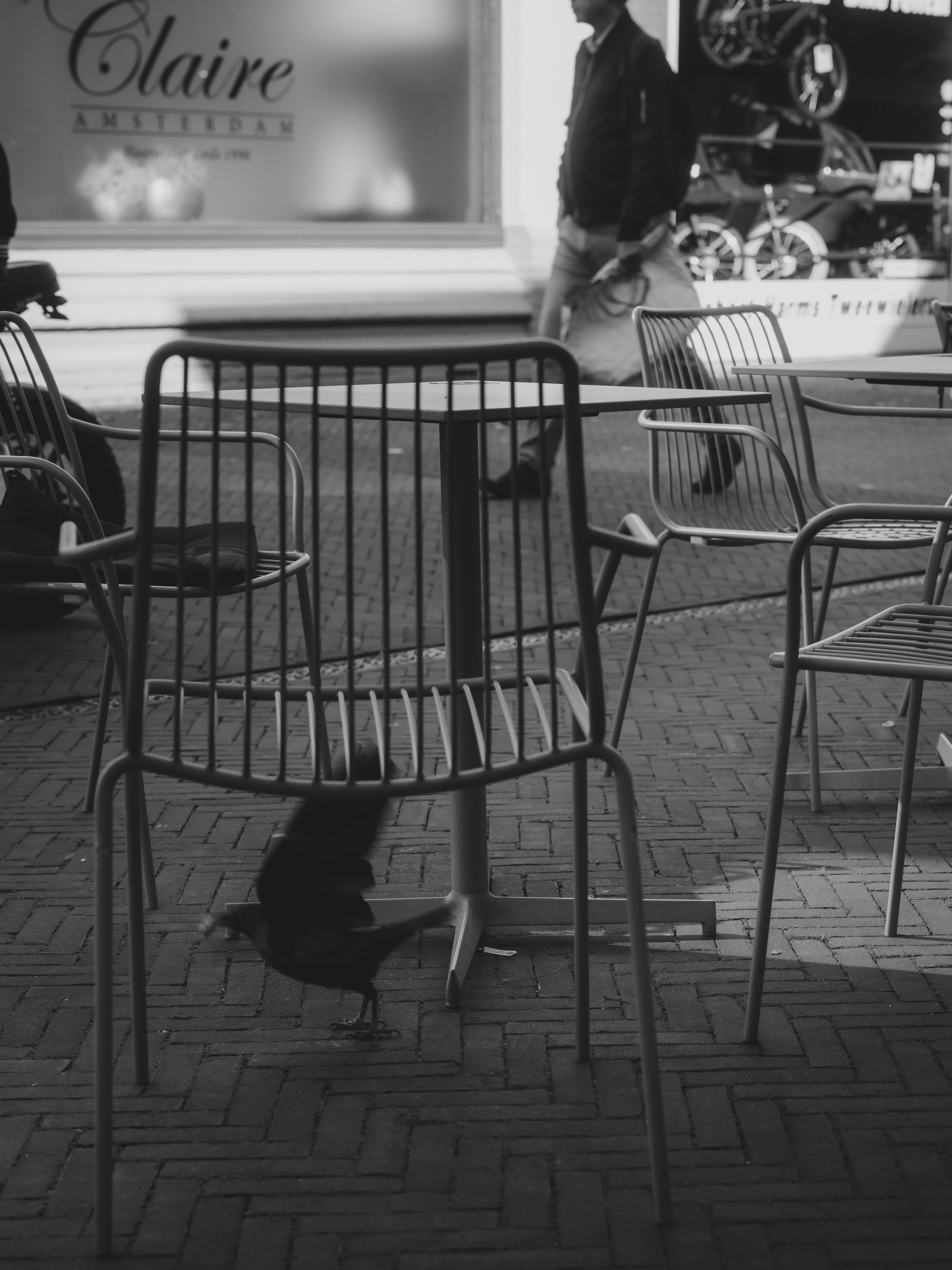 Midtown Stillness: The Pigeon Beneath a Ring of Café Chairs