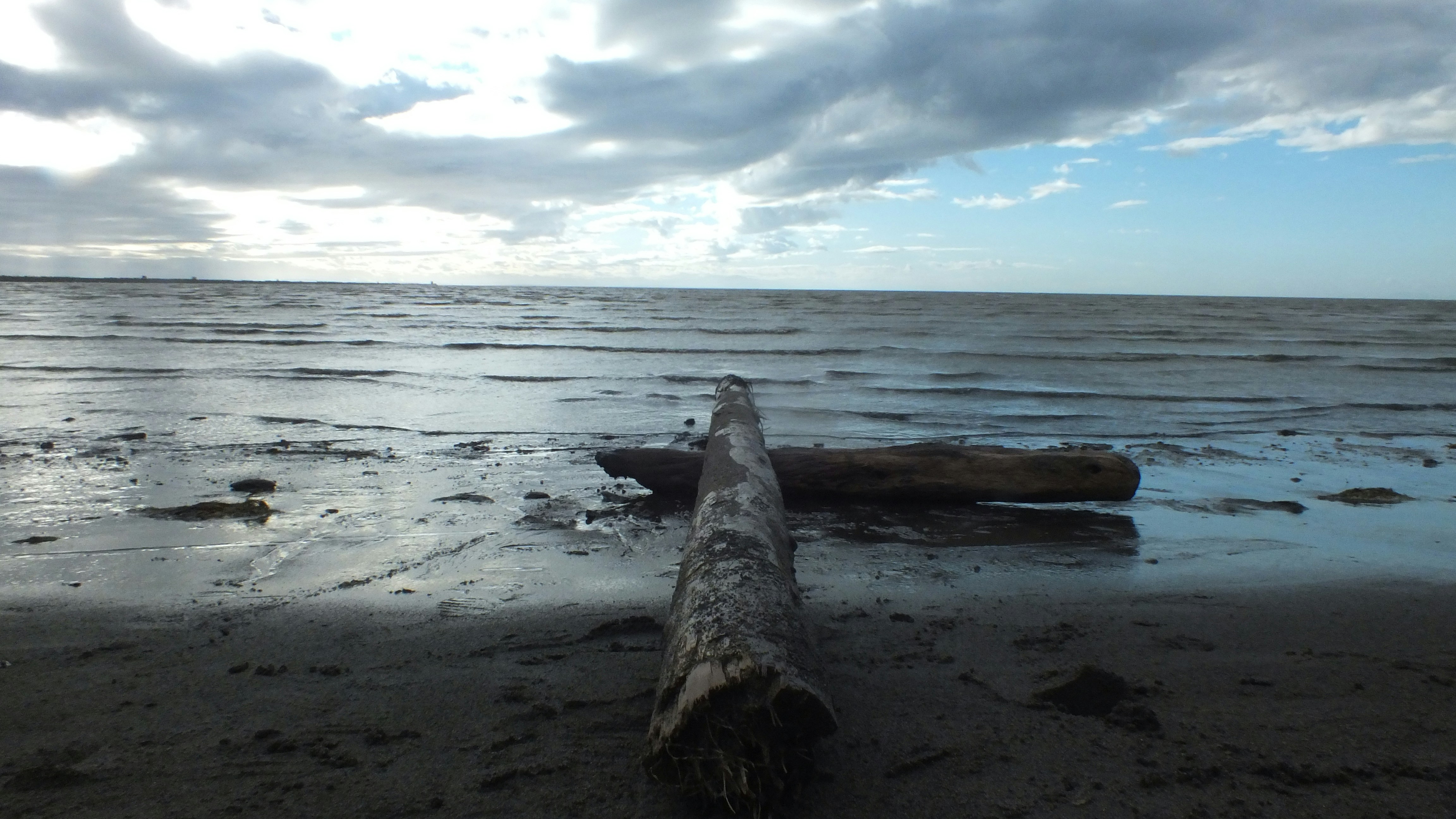A weathered log rests on the wet sand, reflecting the serene waters and cloudy sky of the coastline. The tranquil scene captures nature's quiet beauty.
