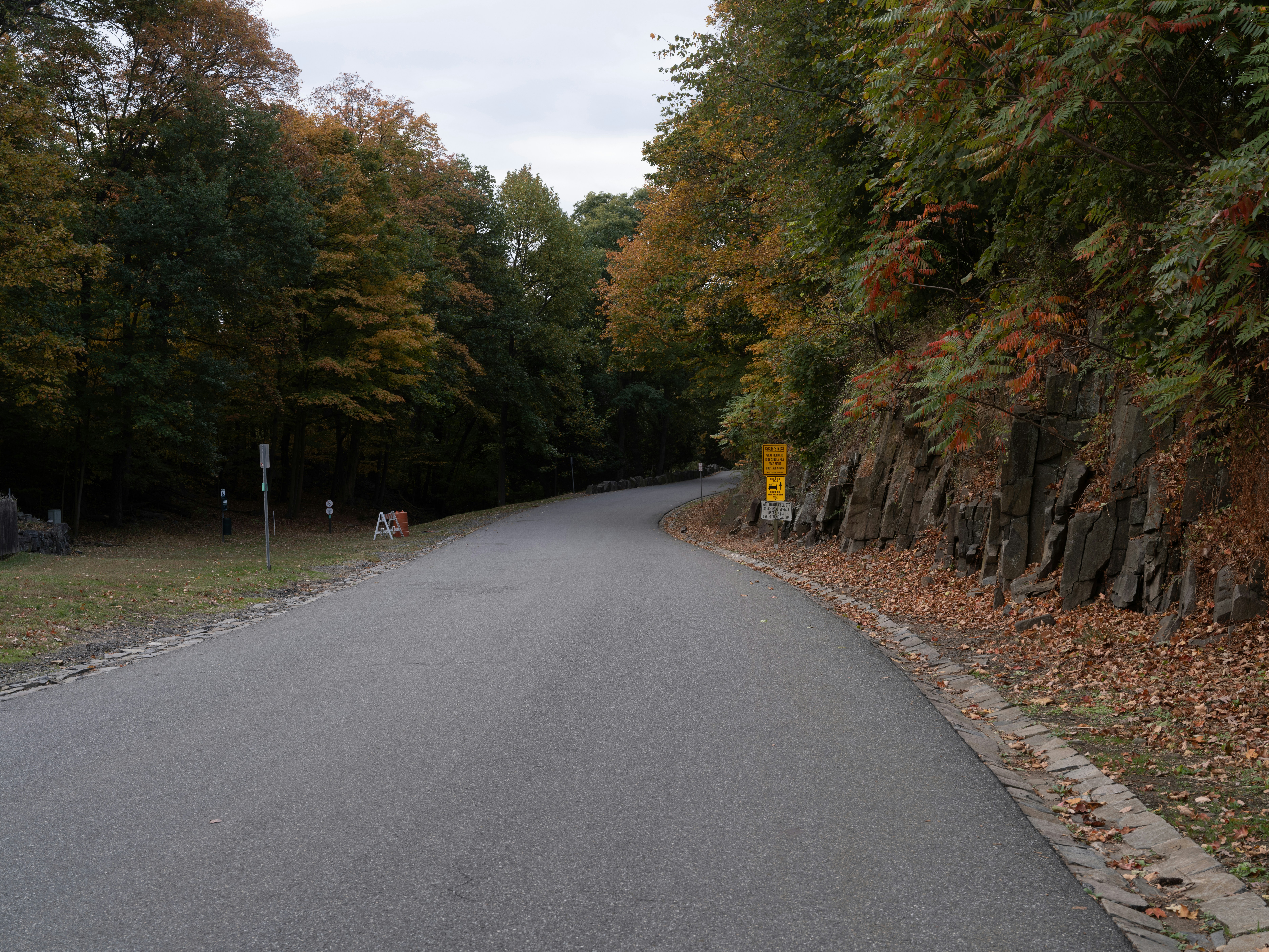 Curved road bordered by vibrant autumn foliage and rocky formations, leading into a serene forested area.