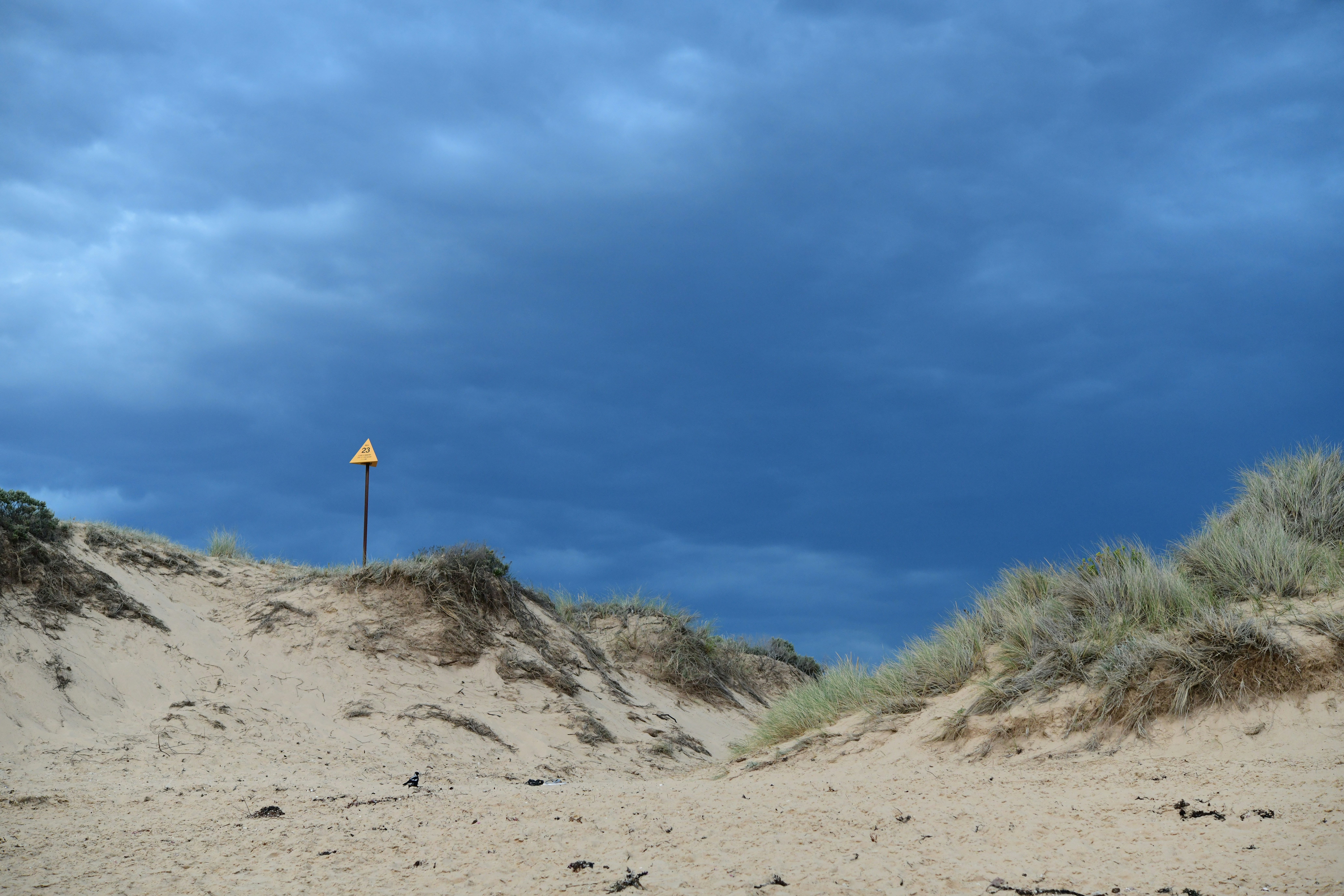 Warning Amidst the Gathering Storm