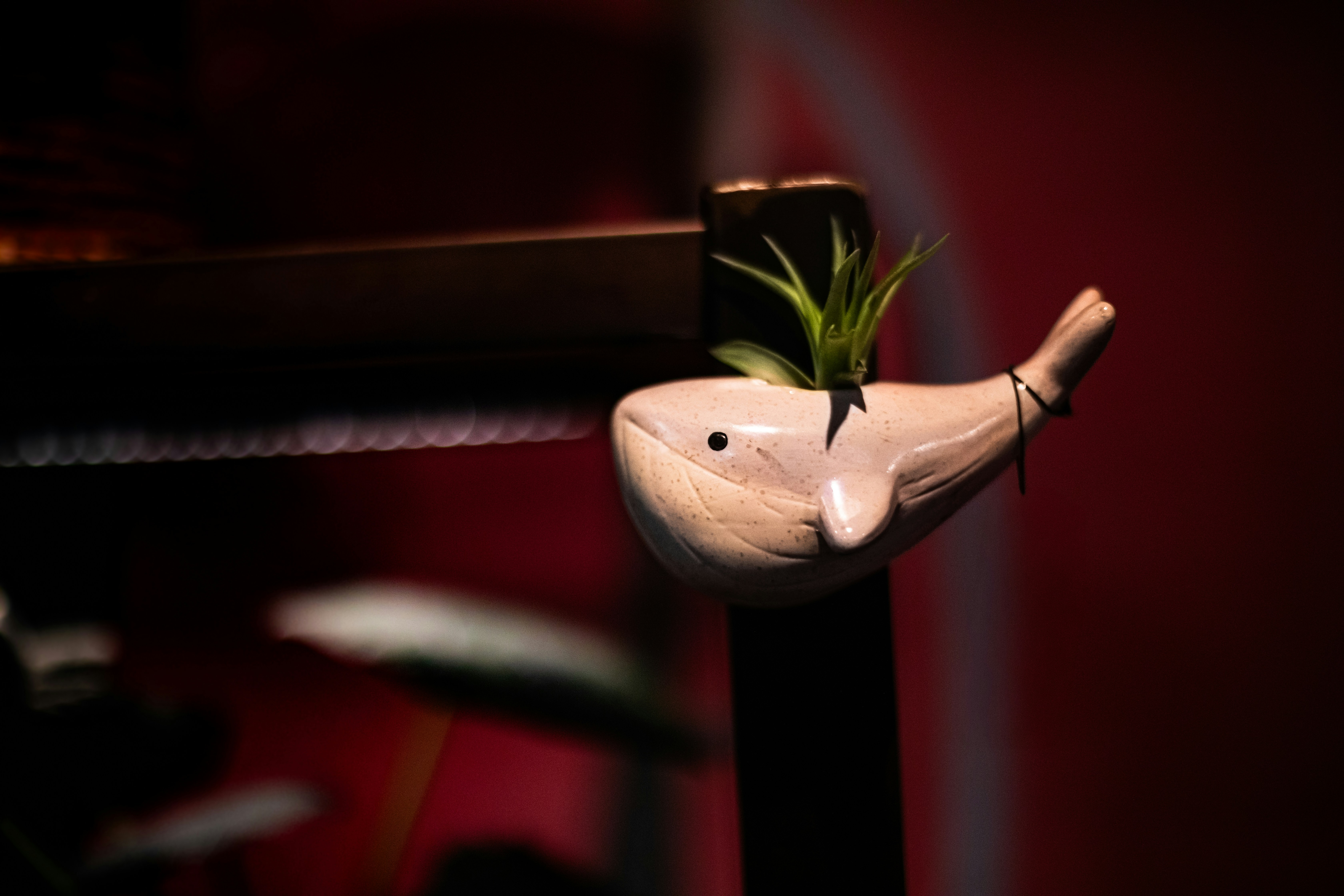 Ceramic whale planter perched on a shelf, adorned with a small green plant against a softly blurred background.