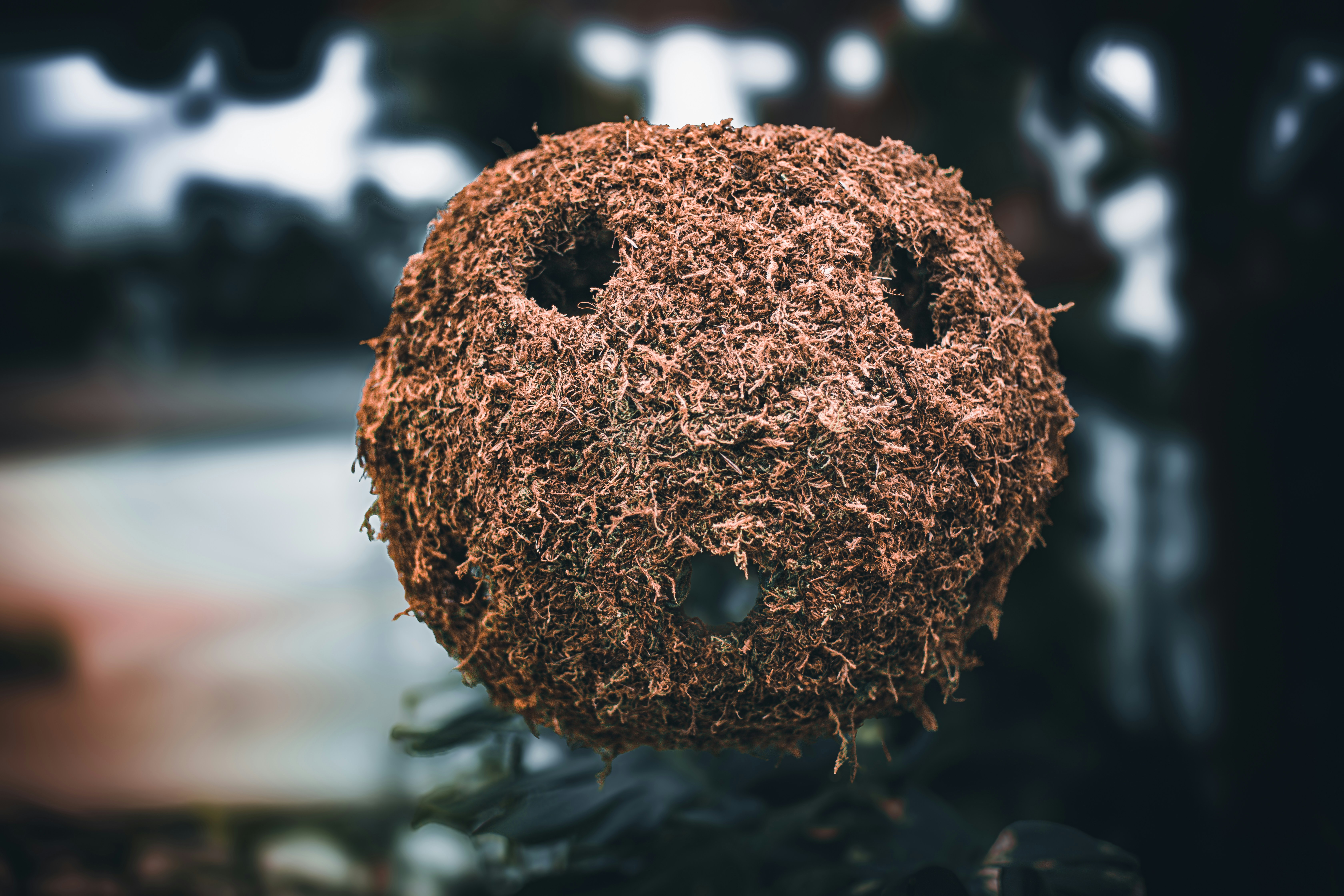 Nature's Whimsical Sphere