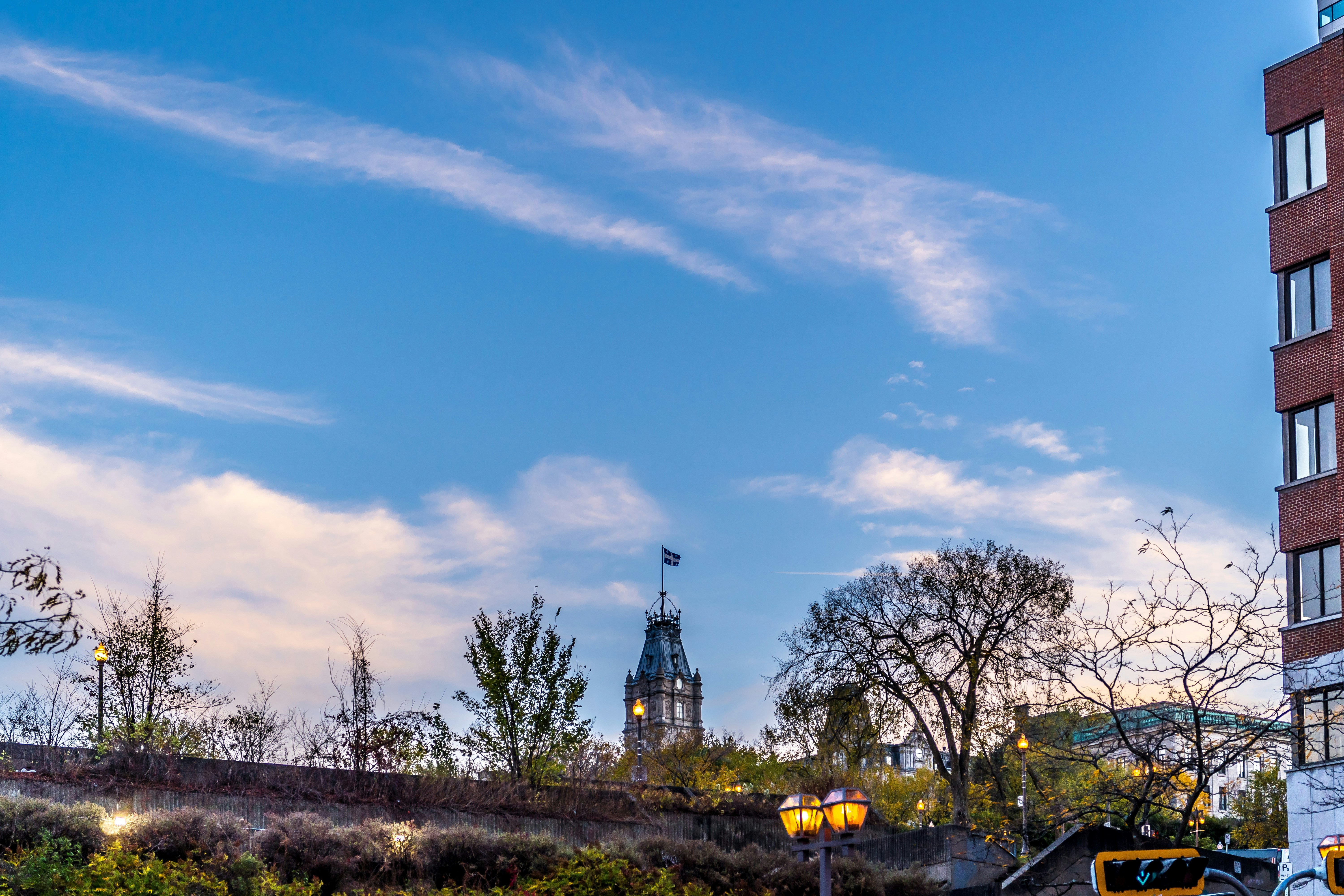 Cityscape with clock tower and autumn trees