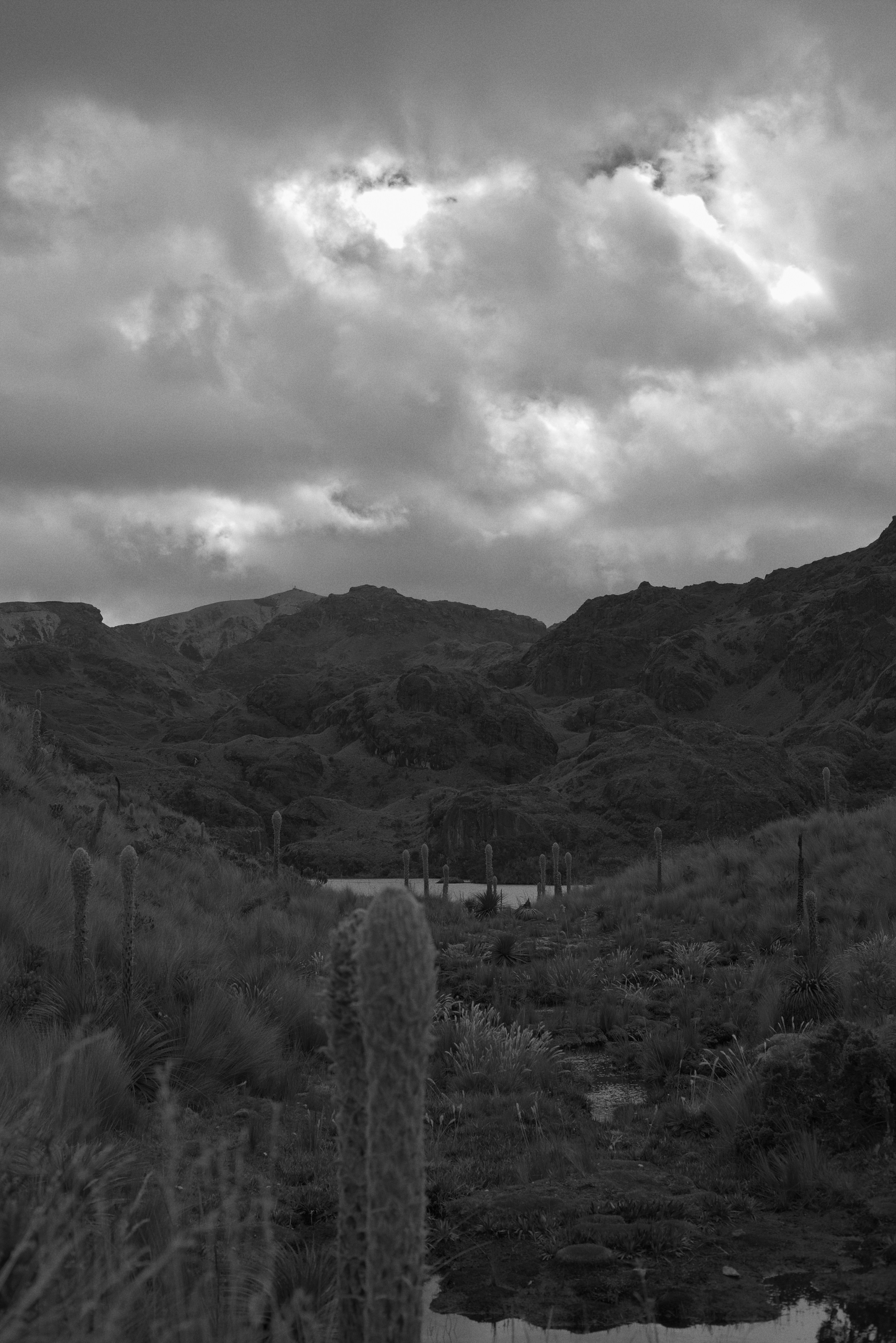 Whispers of the Andean Landscape