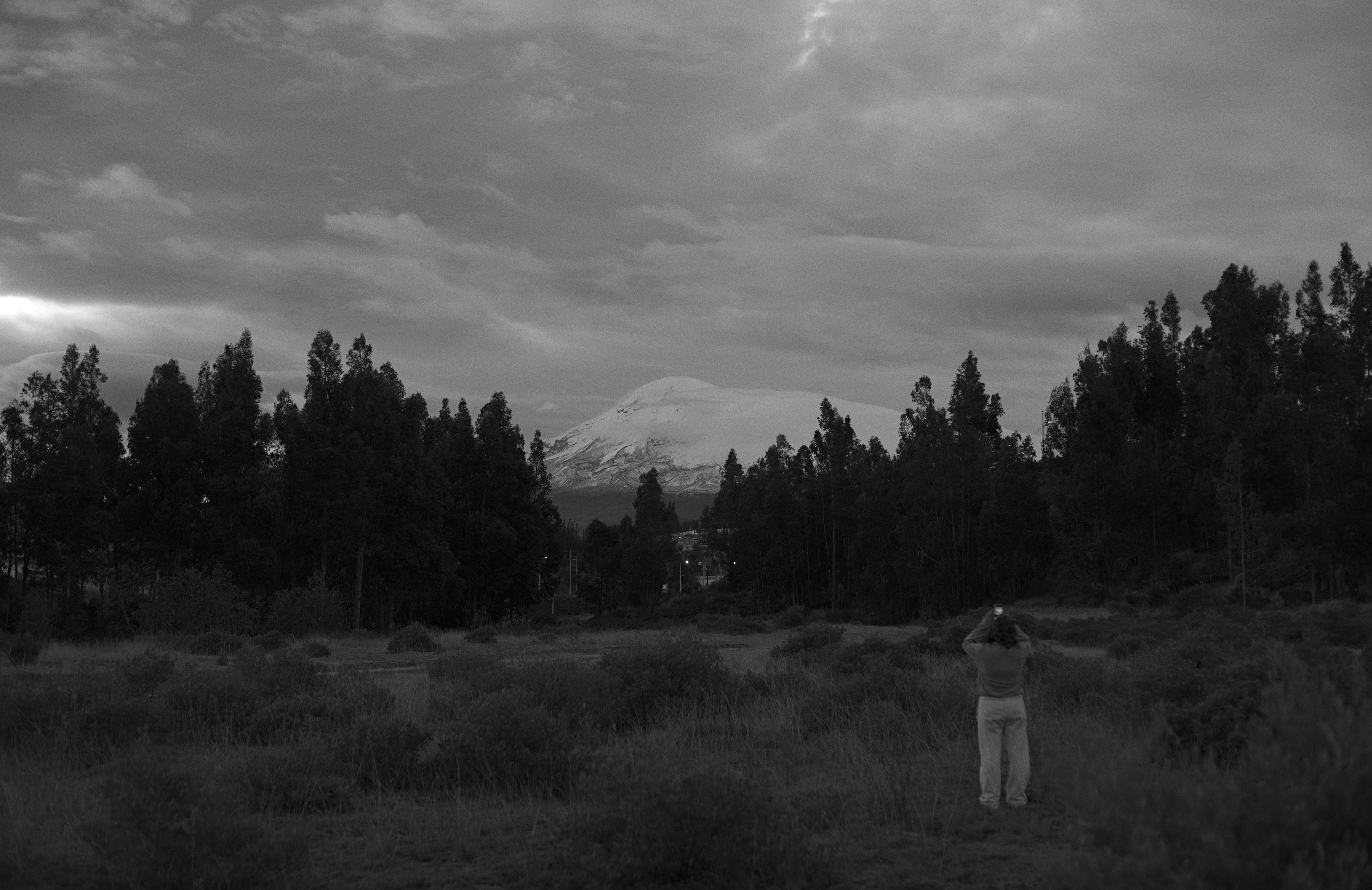 Silent Reverie Under a Dusk Sky