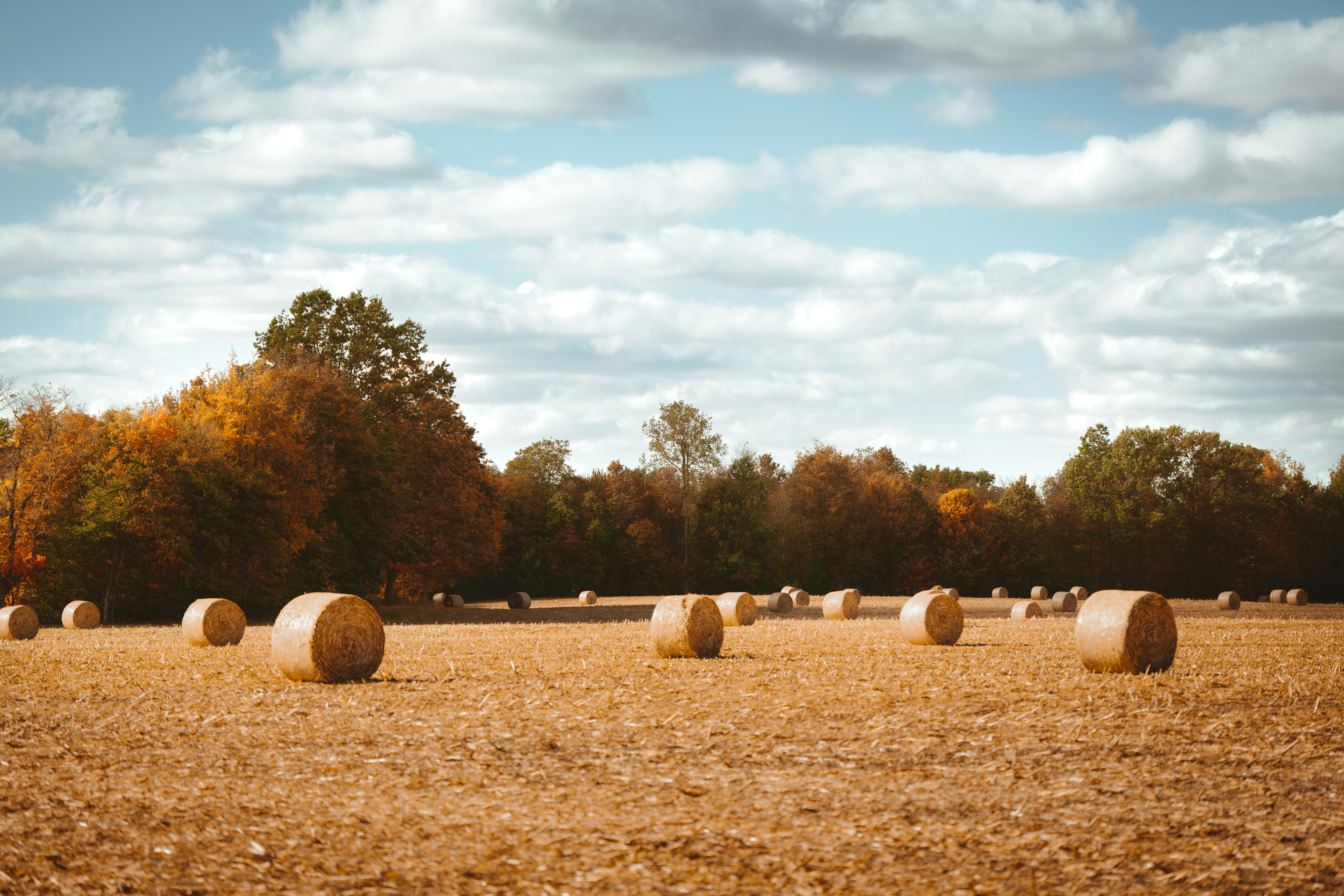 Hay bales in a field during autumn photo – Free Autumn Image on Unsplash