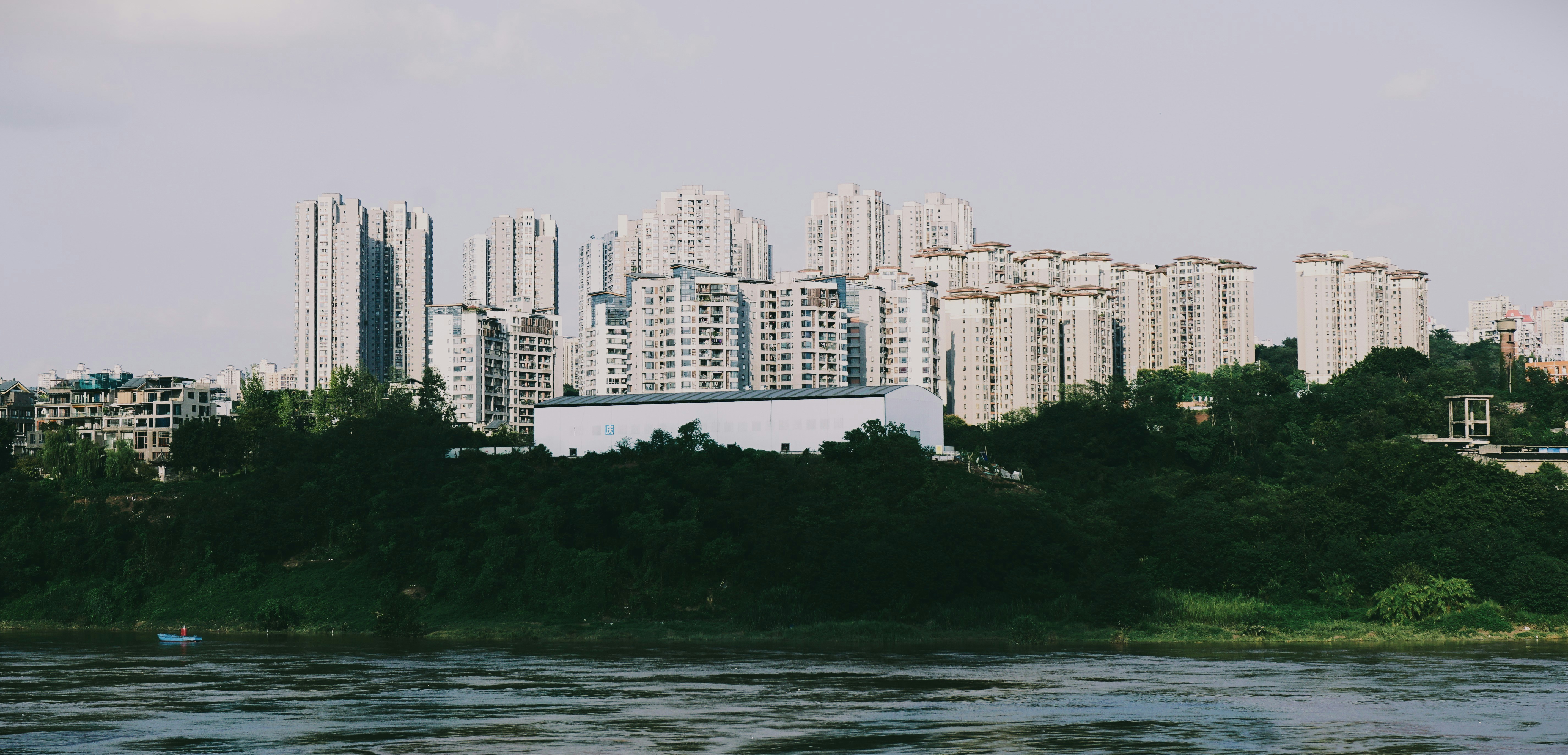 Urban Serenity: A City Embraced by Nature