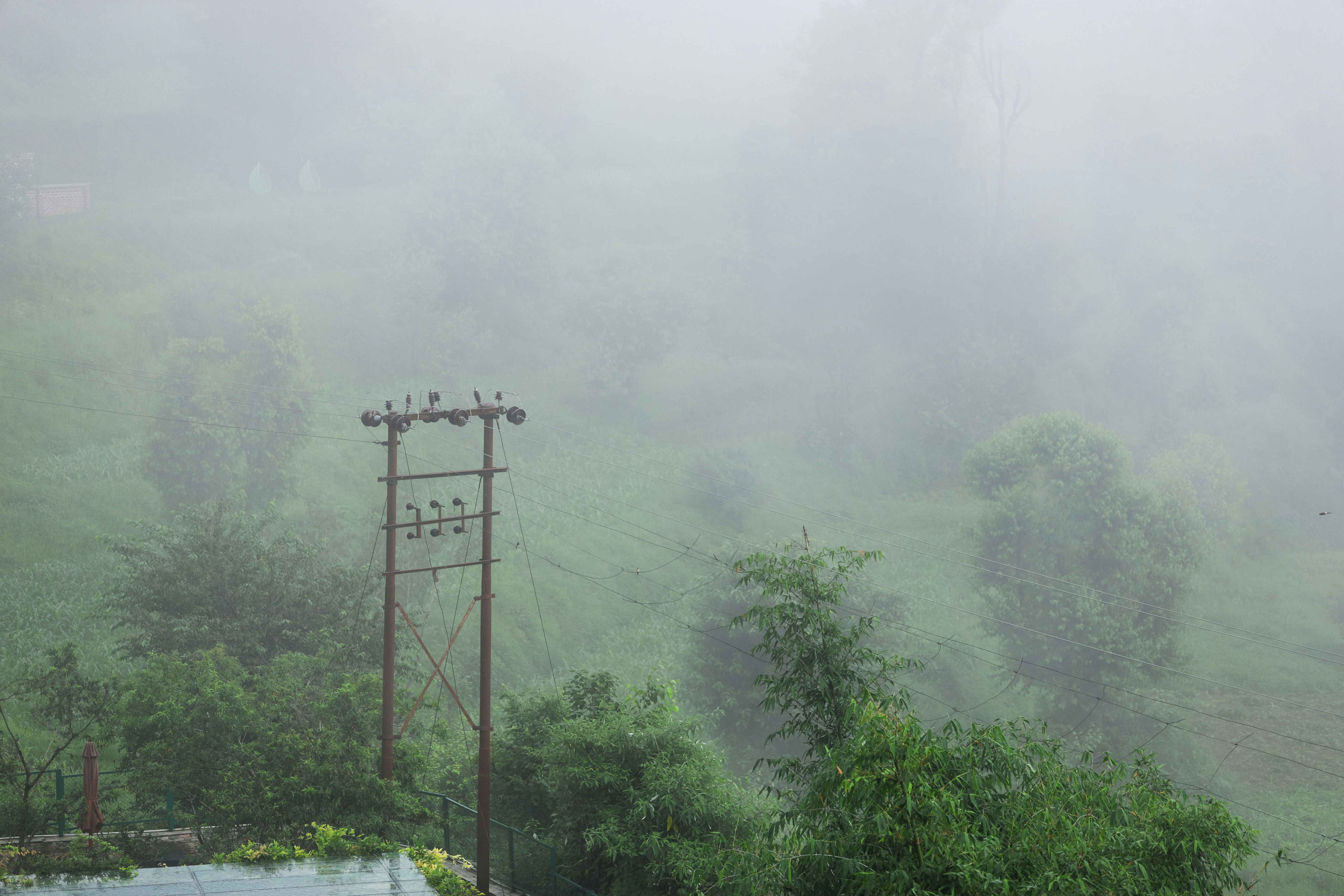Whispers of the Misty Hills