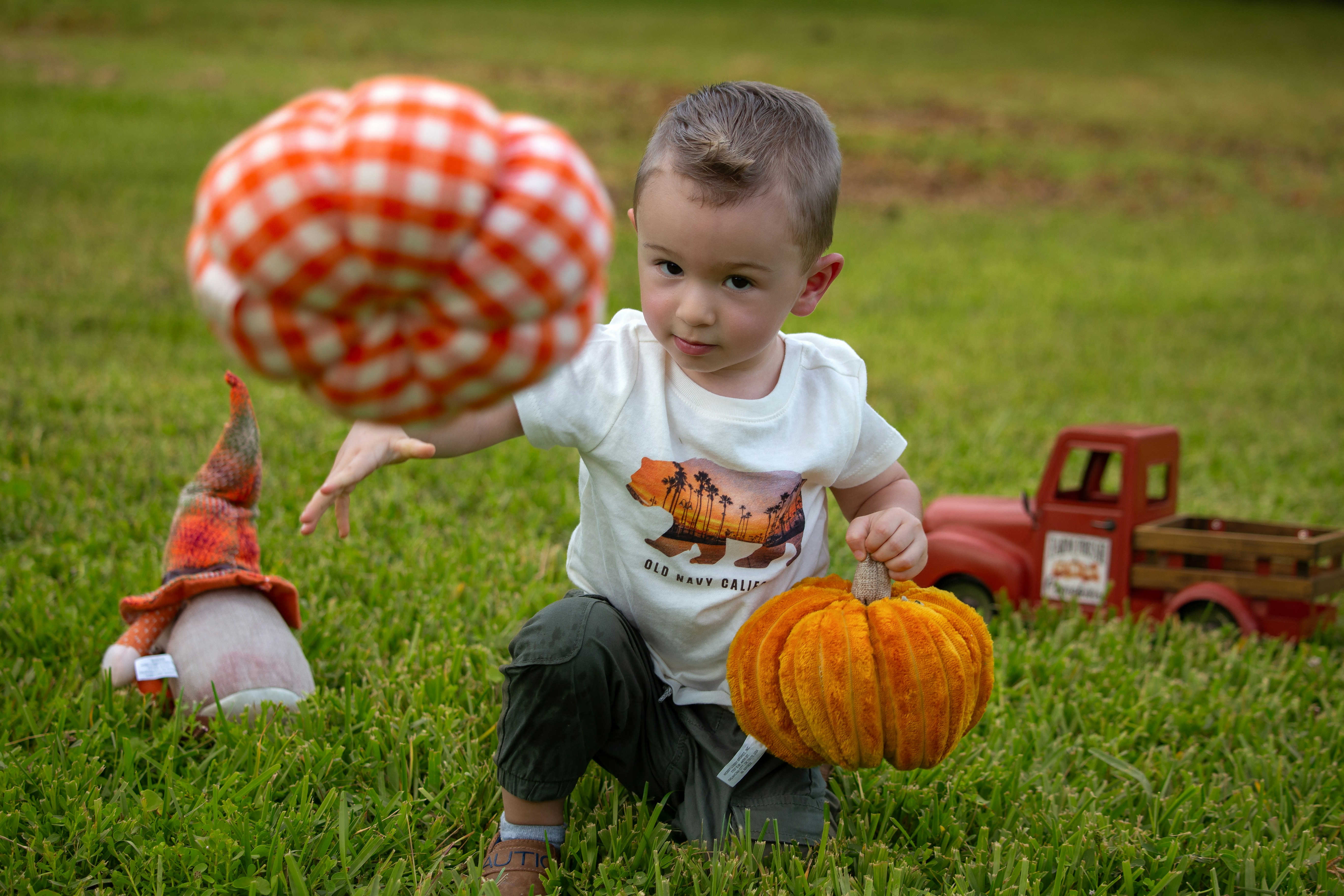 Toddler holding pumpkins with gnome and truck