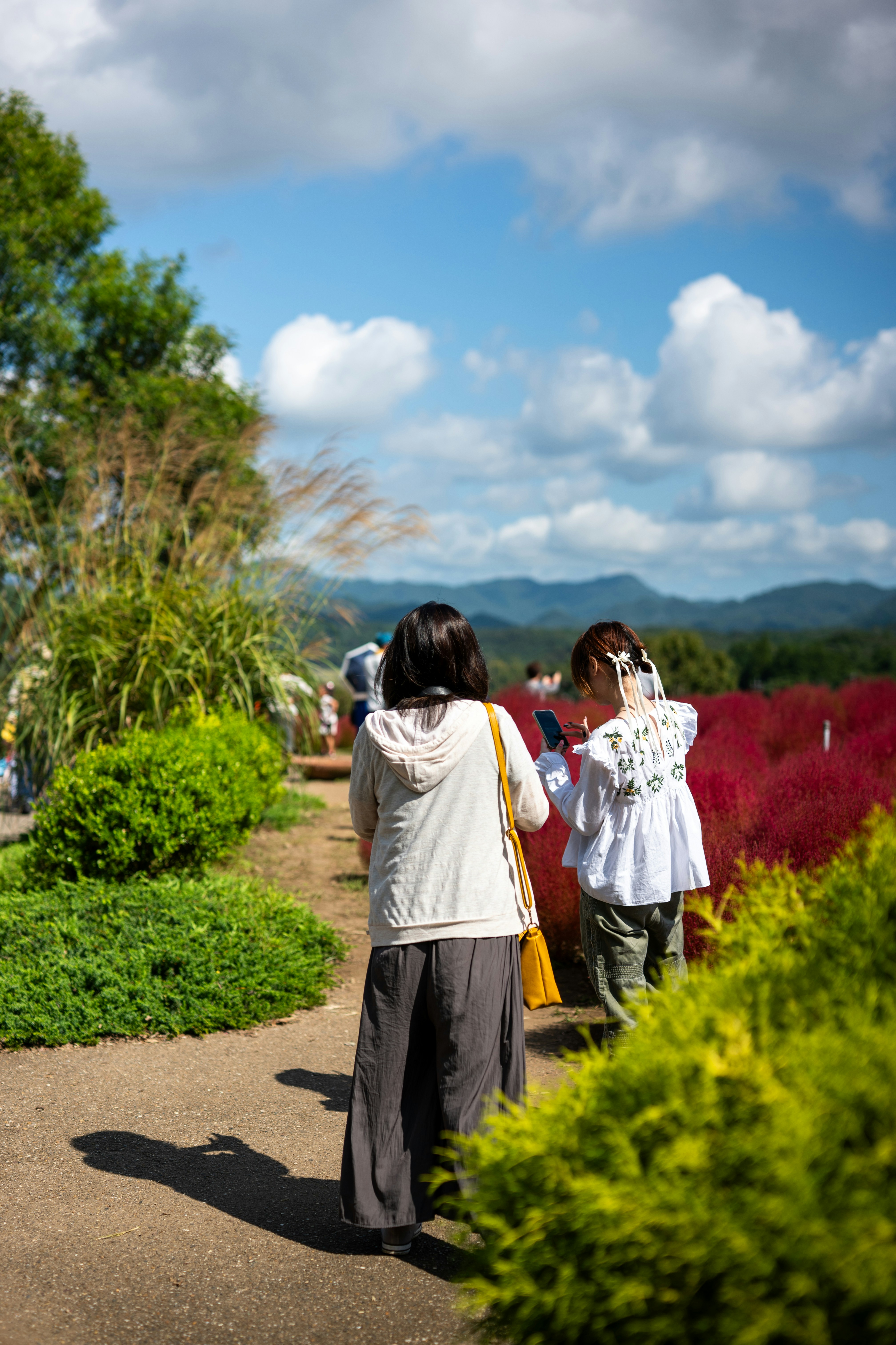 Whispers of Nature: A Stroll Through Colorful Blooms