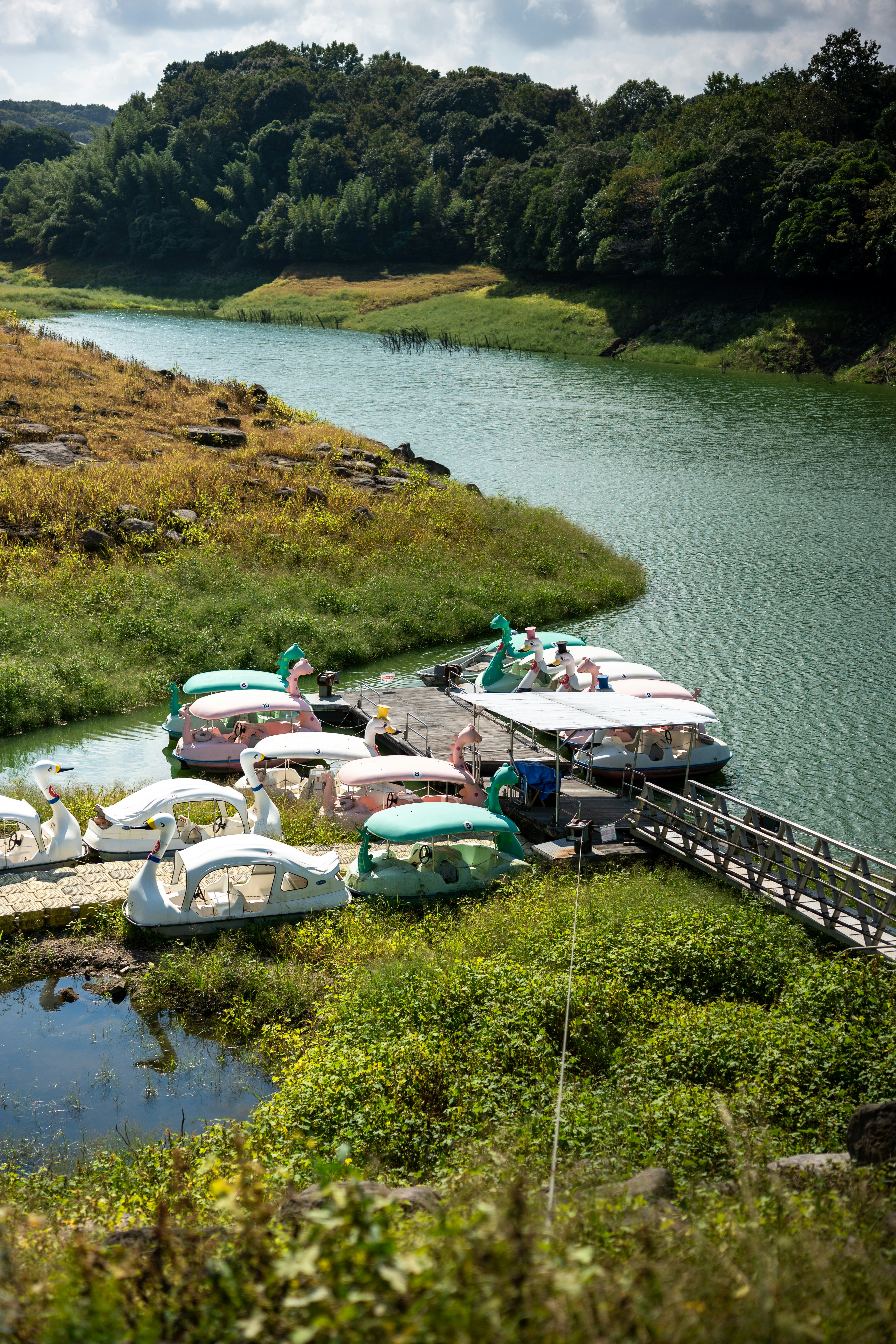Whimsical Watercraft at Serenity Lake