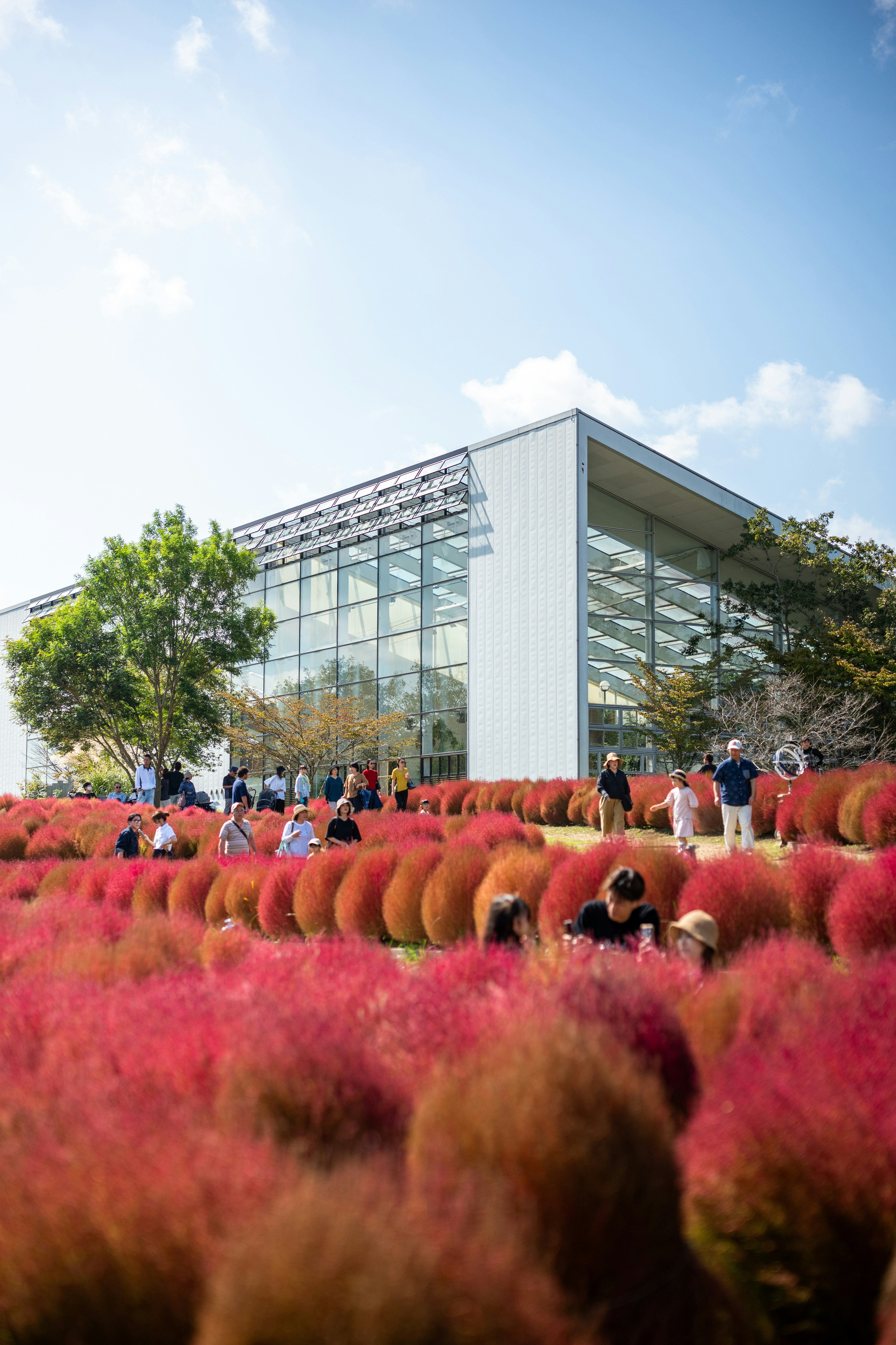 Whispers of Autumn: A Gathering Among Nature's Palette
