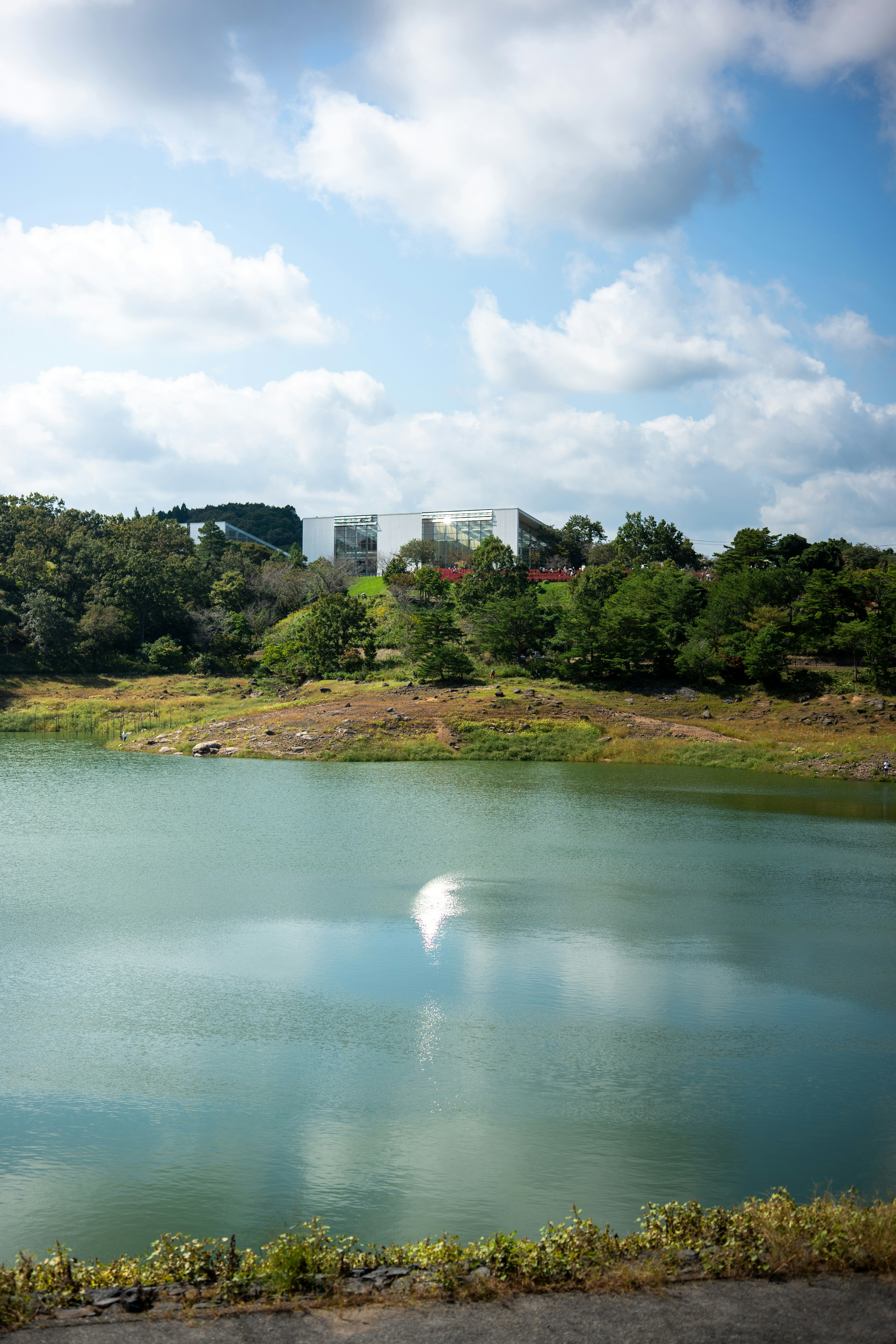 Reflections of Modernity Amidst Nature's Canvas