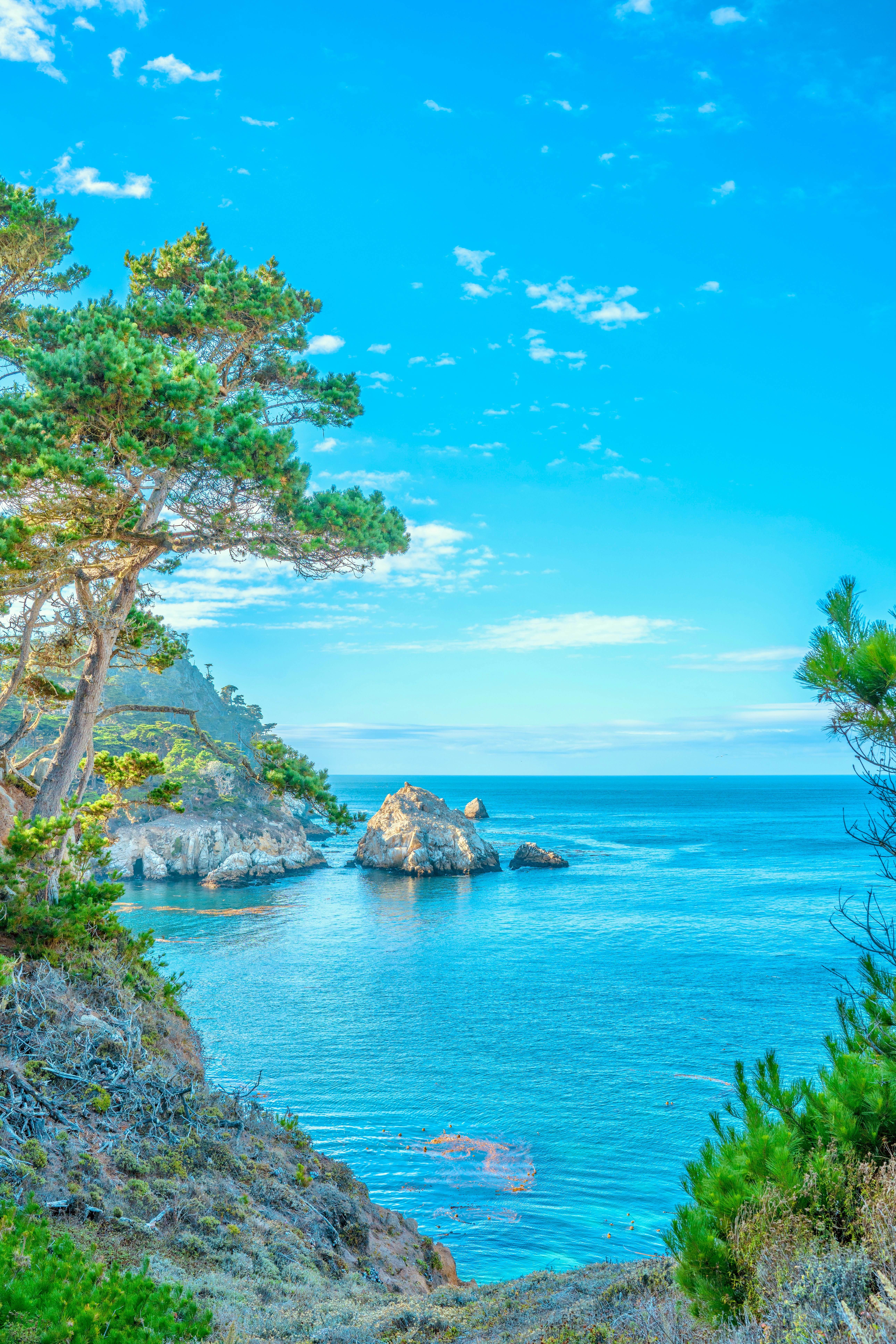 Whispers of the Coastal Horizon